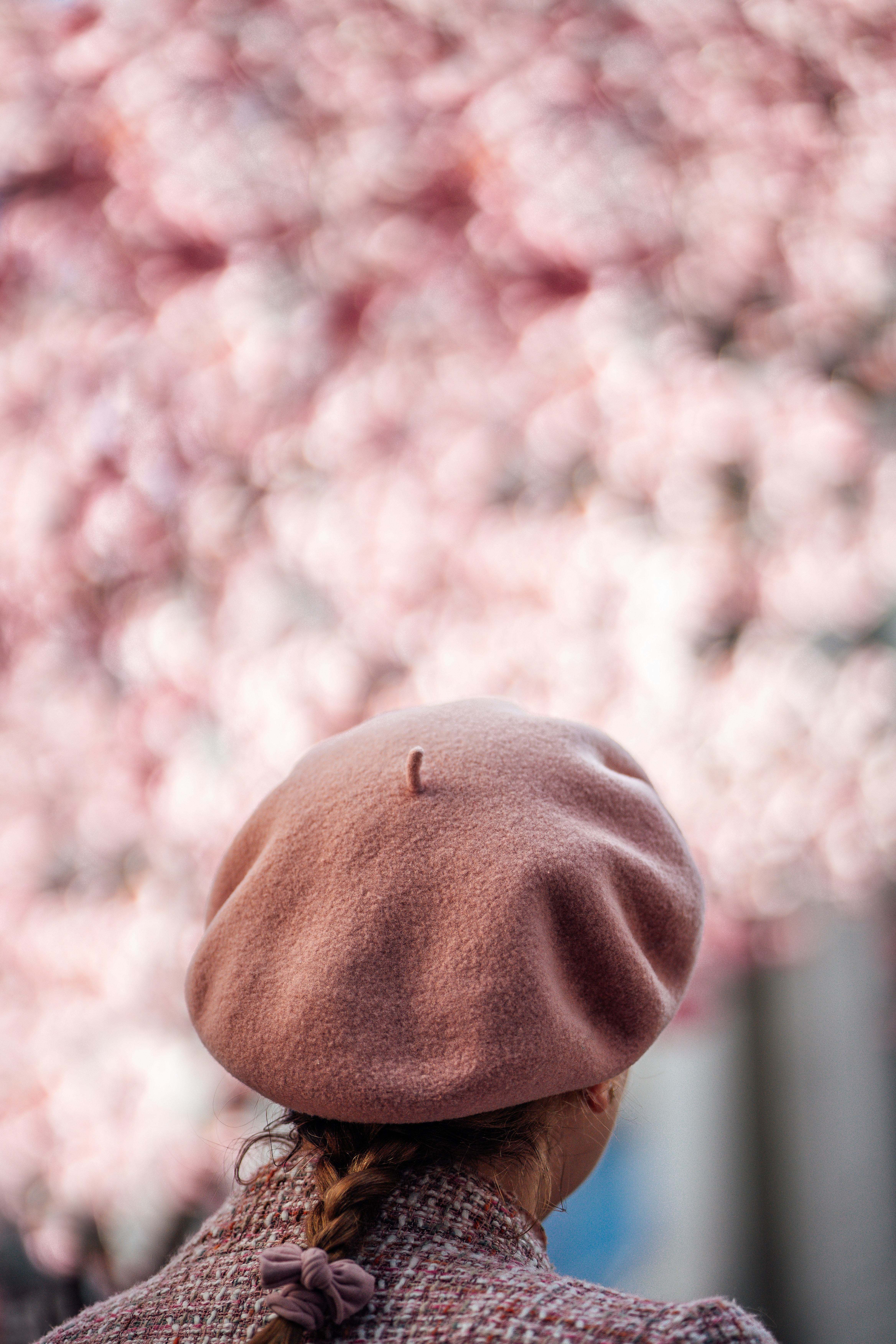 Braided Back Under a Blush Canopy: Beret Portrait Among Cherry Blossoms