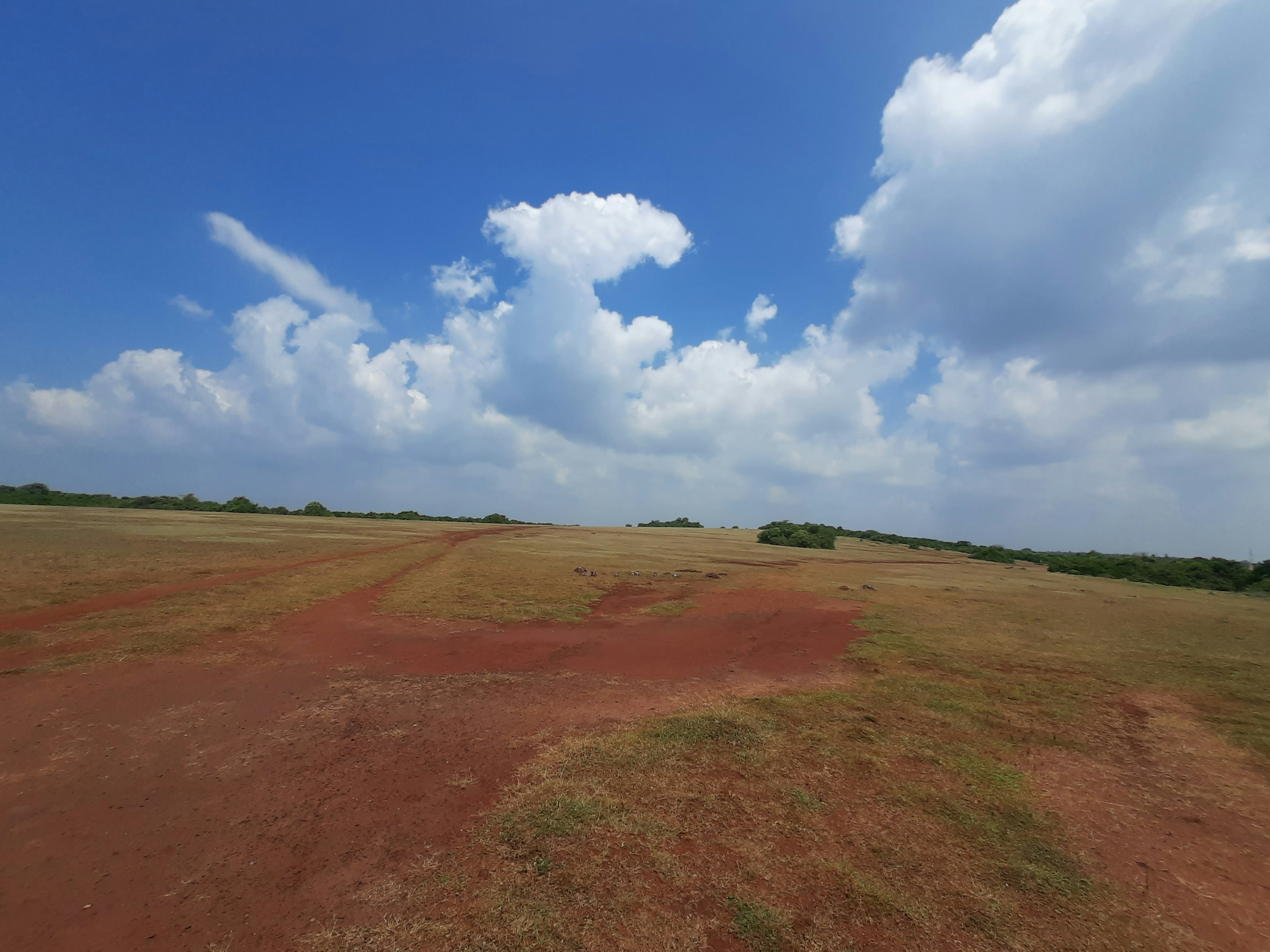 Vast open field with red earth under a bright blue sky dotted with fluffy clouds.