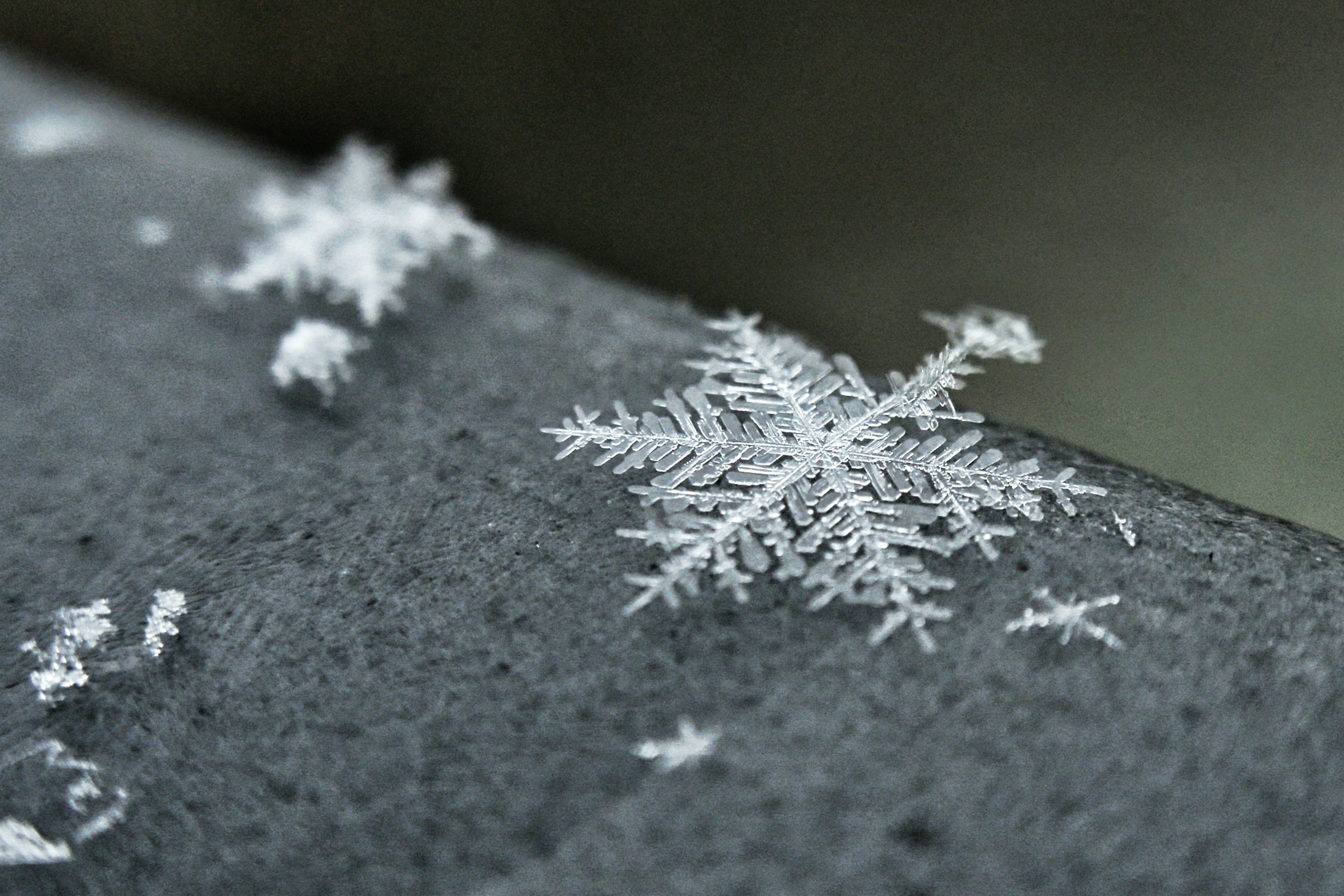 Best Snowflake Pictures [HD] | Download Free Images on Unsplash