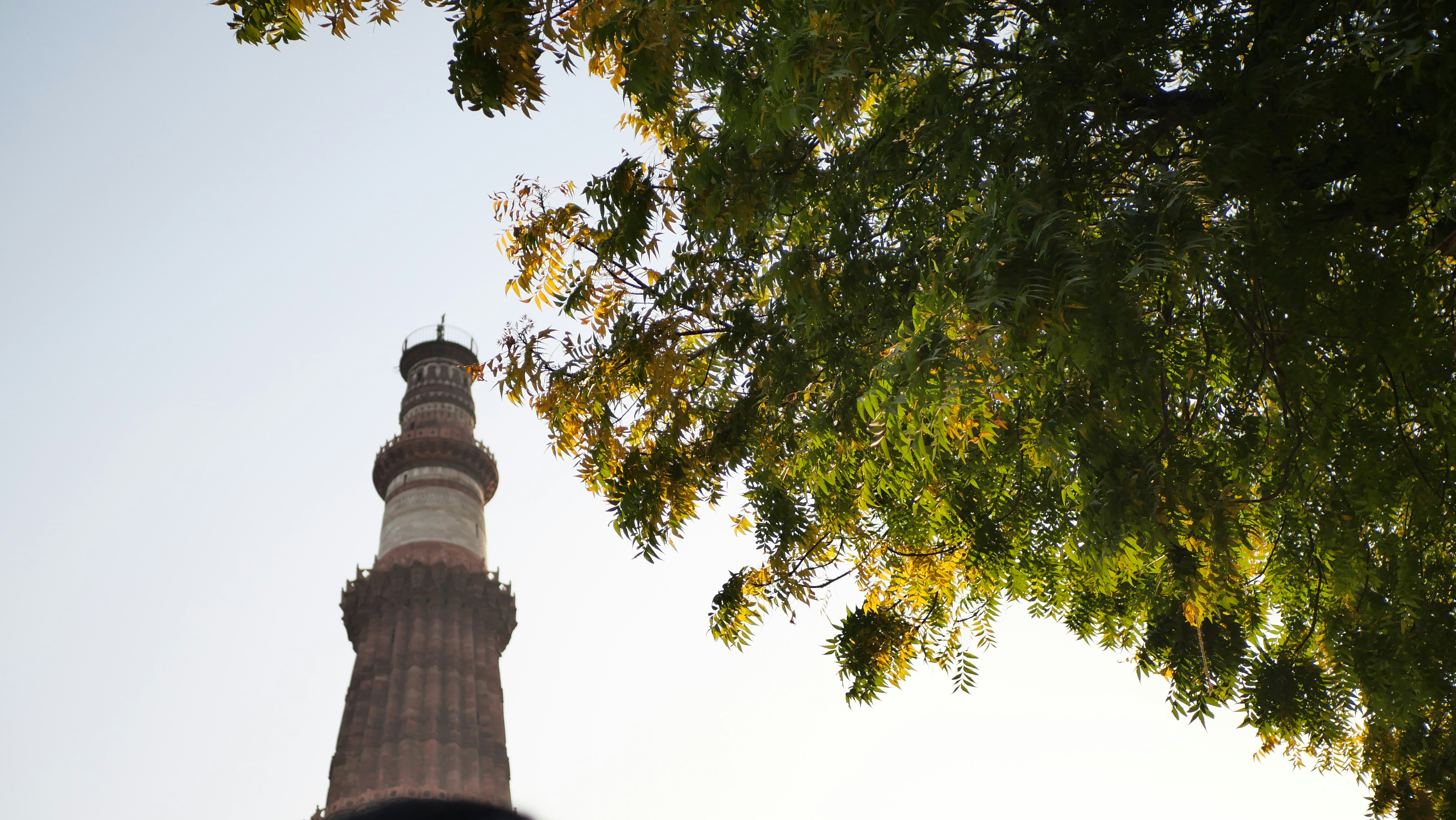 A tall, multi-tiered tower rises beside a dense canopy of green leaves against a clear blue sky.
