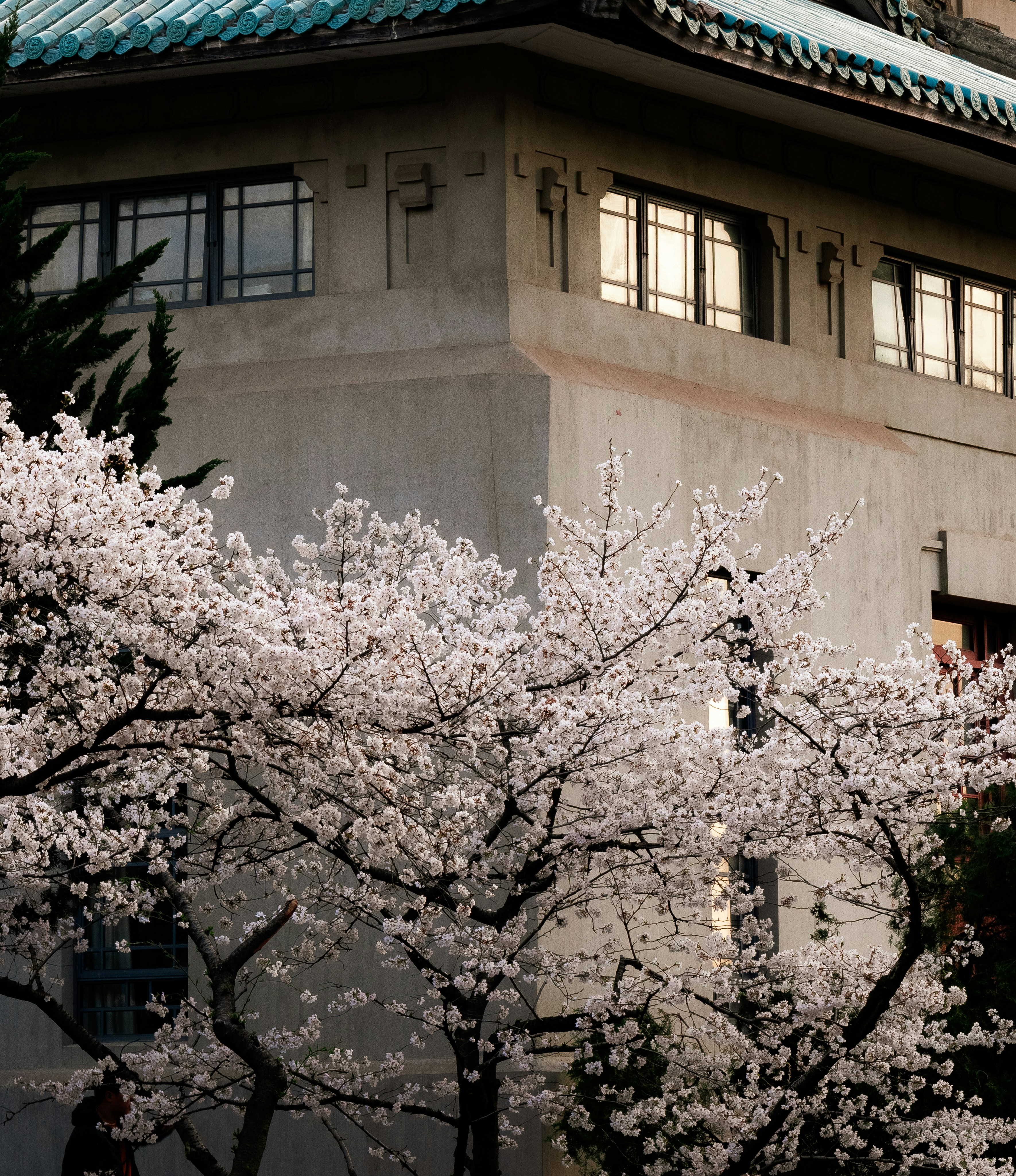 Photo by xiaoyu xie with Nikon Zfc