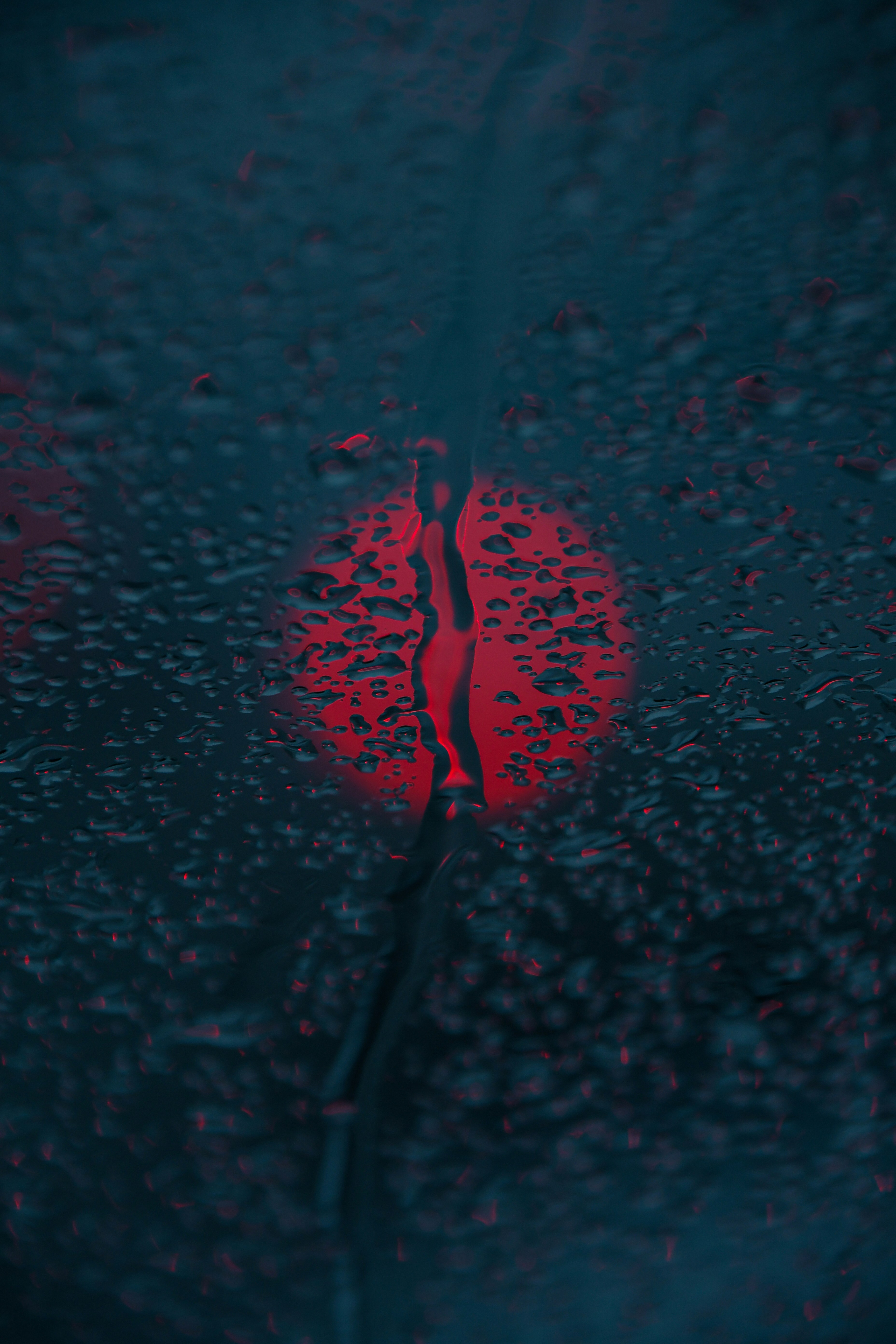 A close up of a red object on a wet surface photo – Free Nature Image ...
