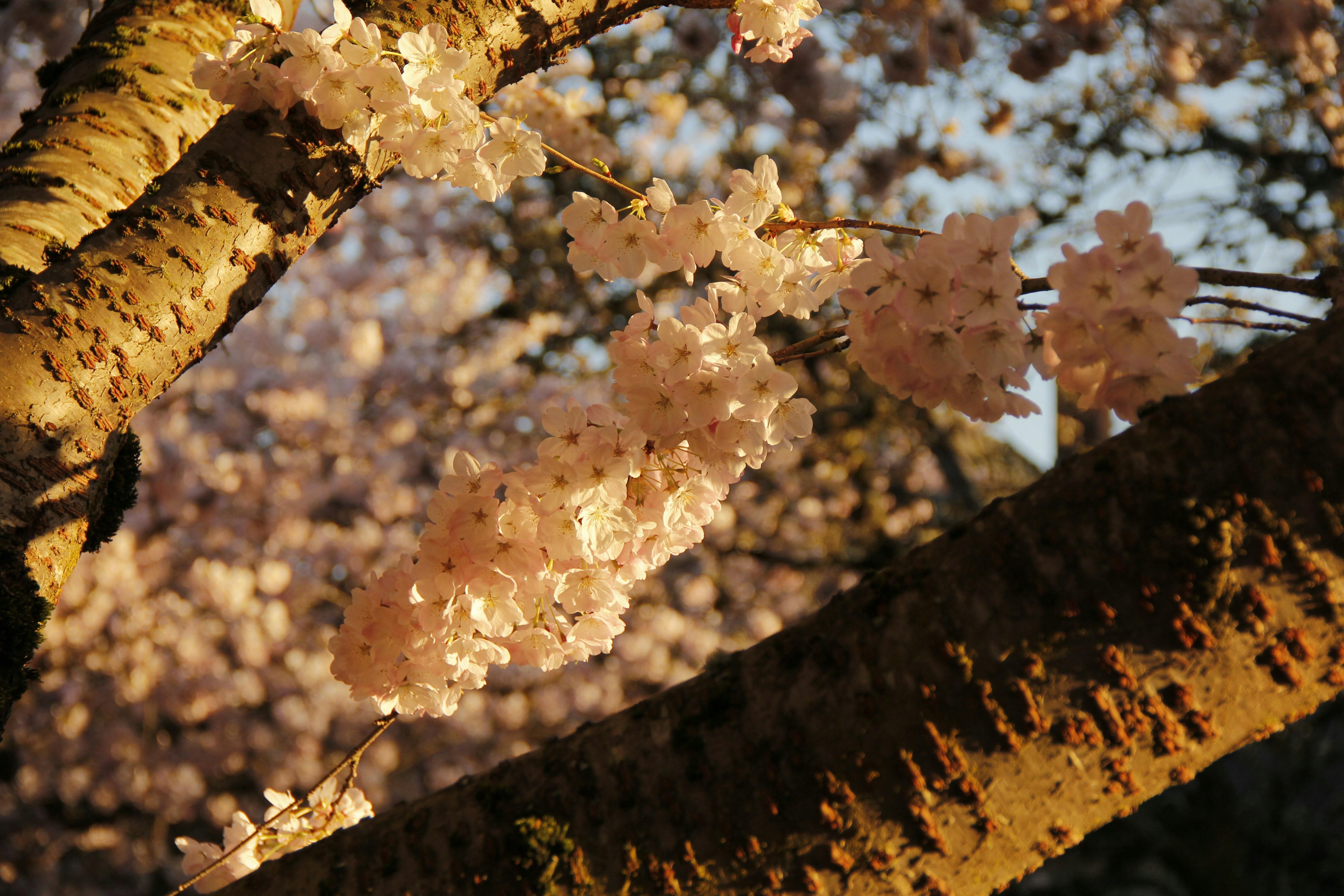 Photo by Riley Revell with Canon EOS 60D