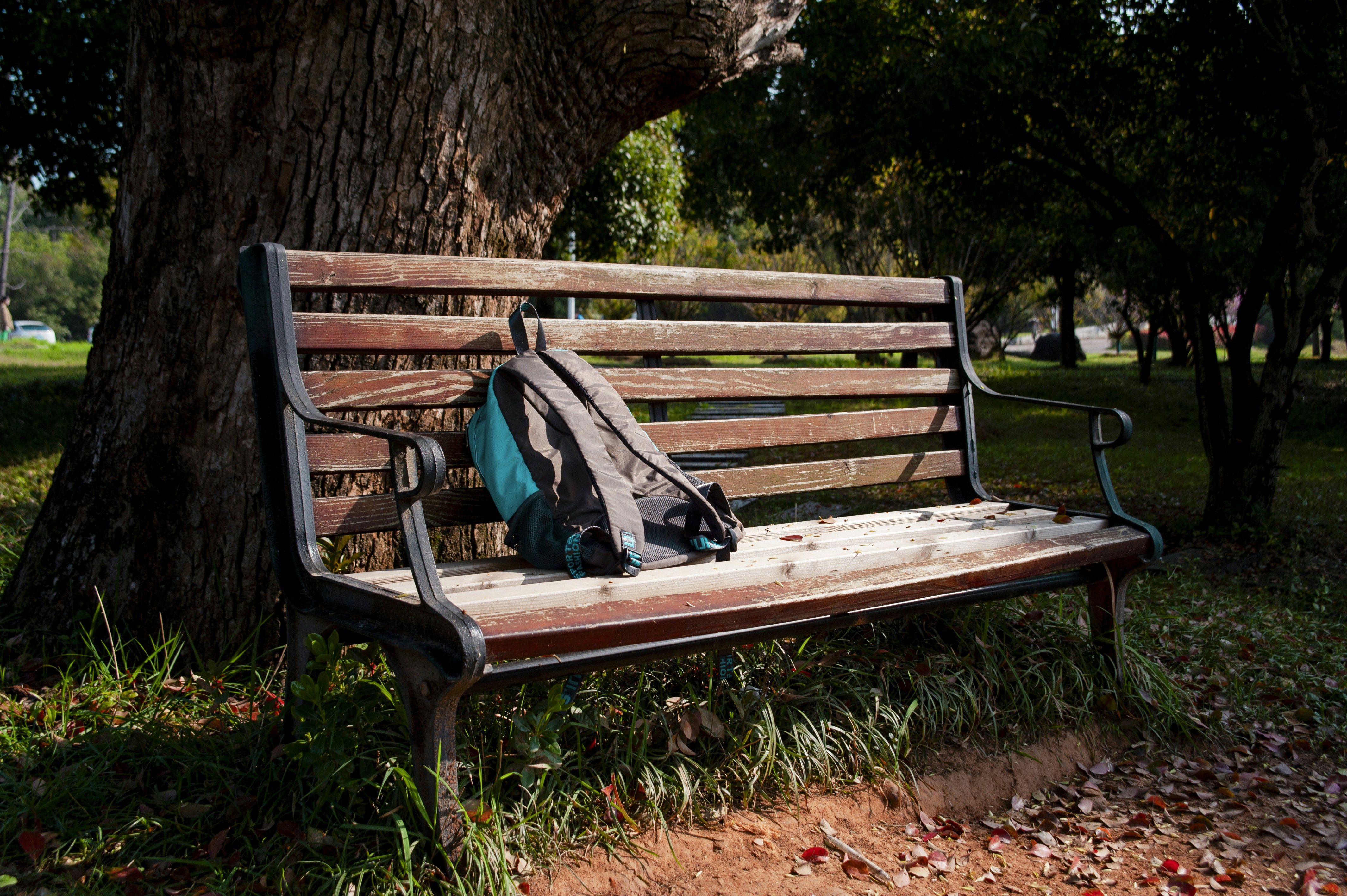 Teal Pack on a Weathered Park Bench Beneath an Ancient Oak