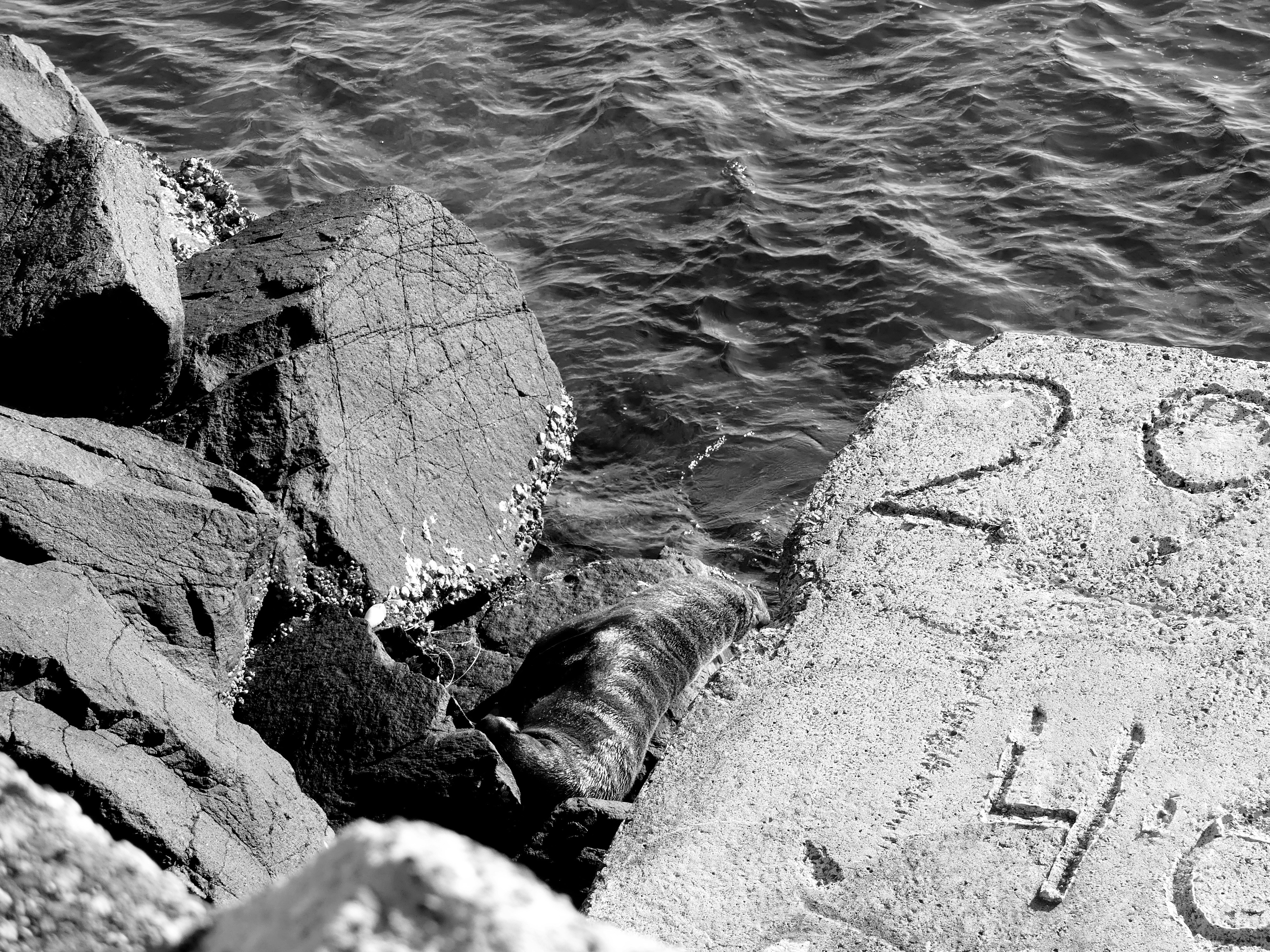 Numerals in Concrete by the Sea: A Monochrome Breakwater Portrait