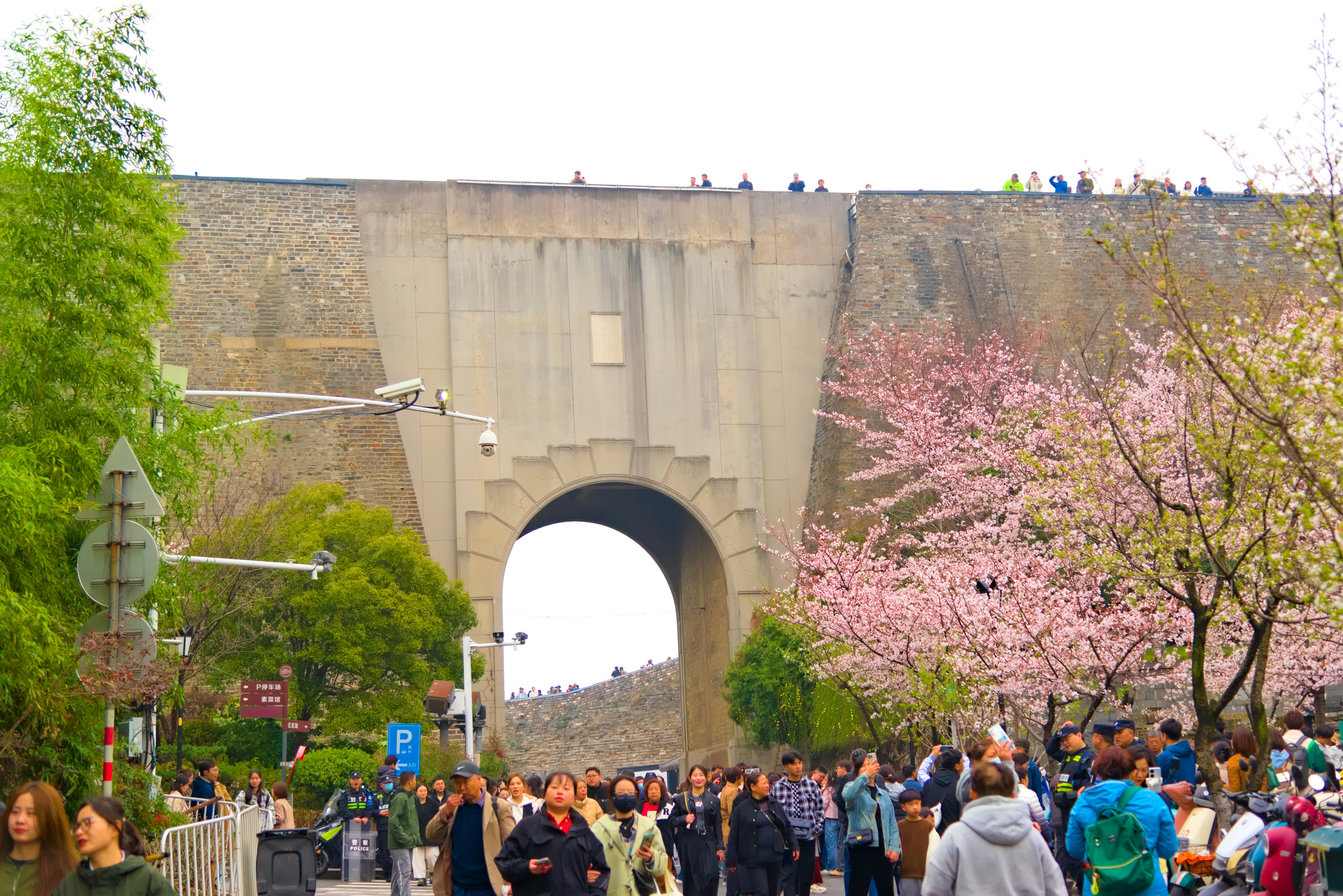 Under the Grand Arch: Spring Crowds and Blush Blossoms