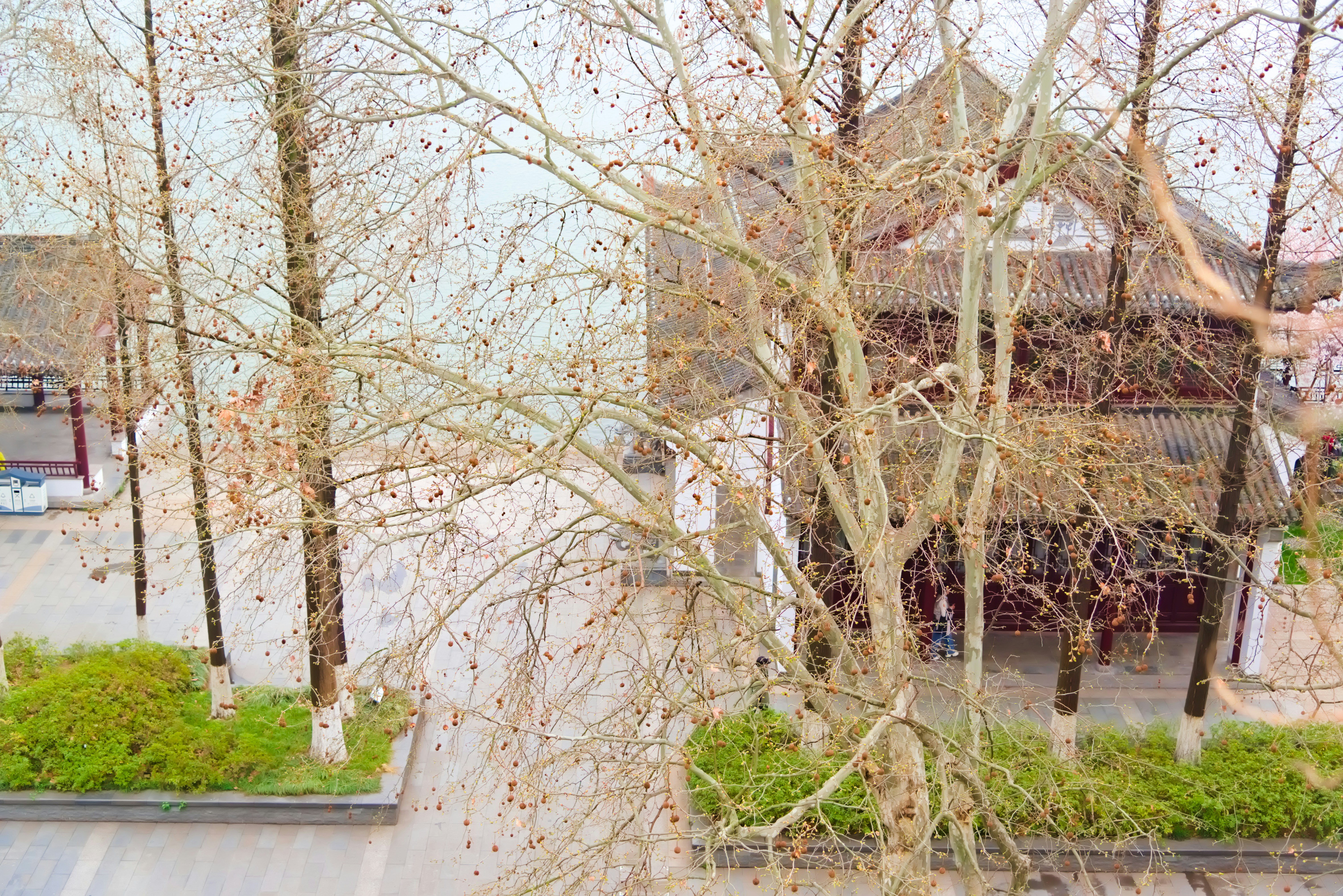 Photo by Bo Peng with Nikon D610