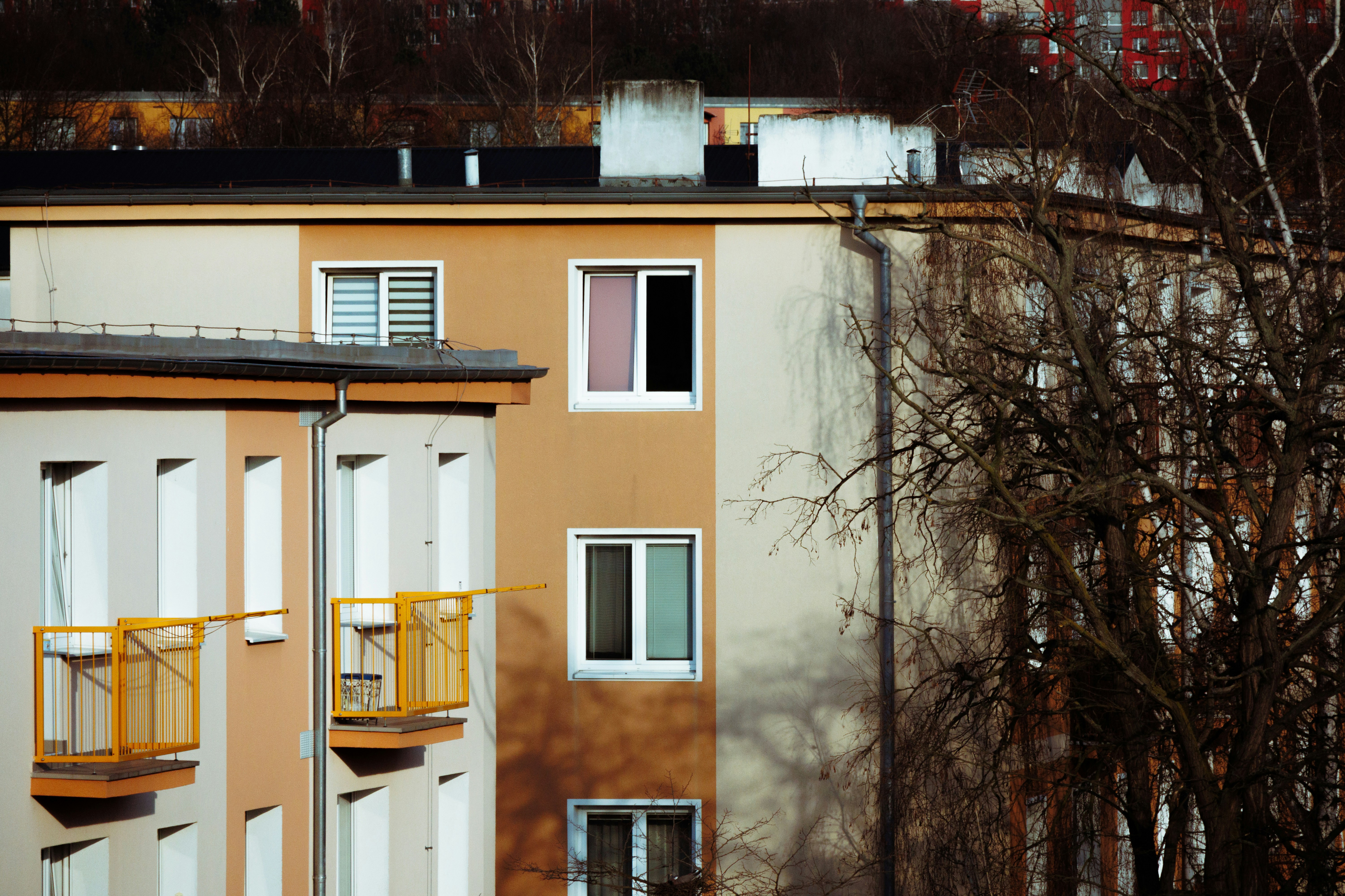 Residential building exterior showcasing a mix of windows and balconies, framed by bare tree branches. The interplay of light and shadow creates a dynamic urban scene.