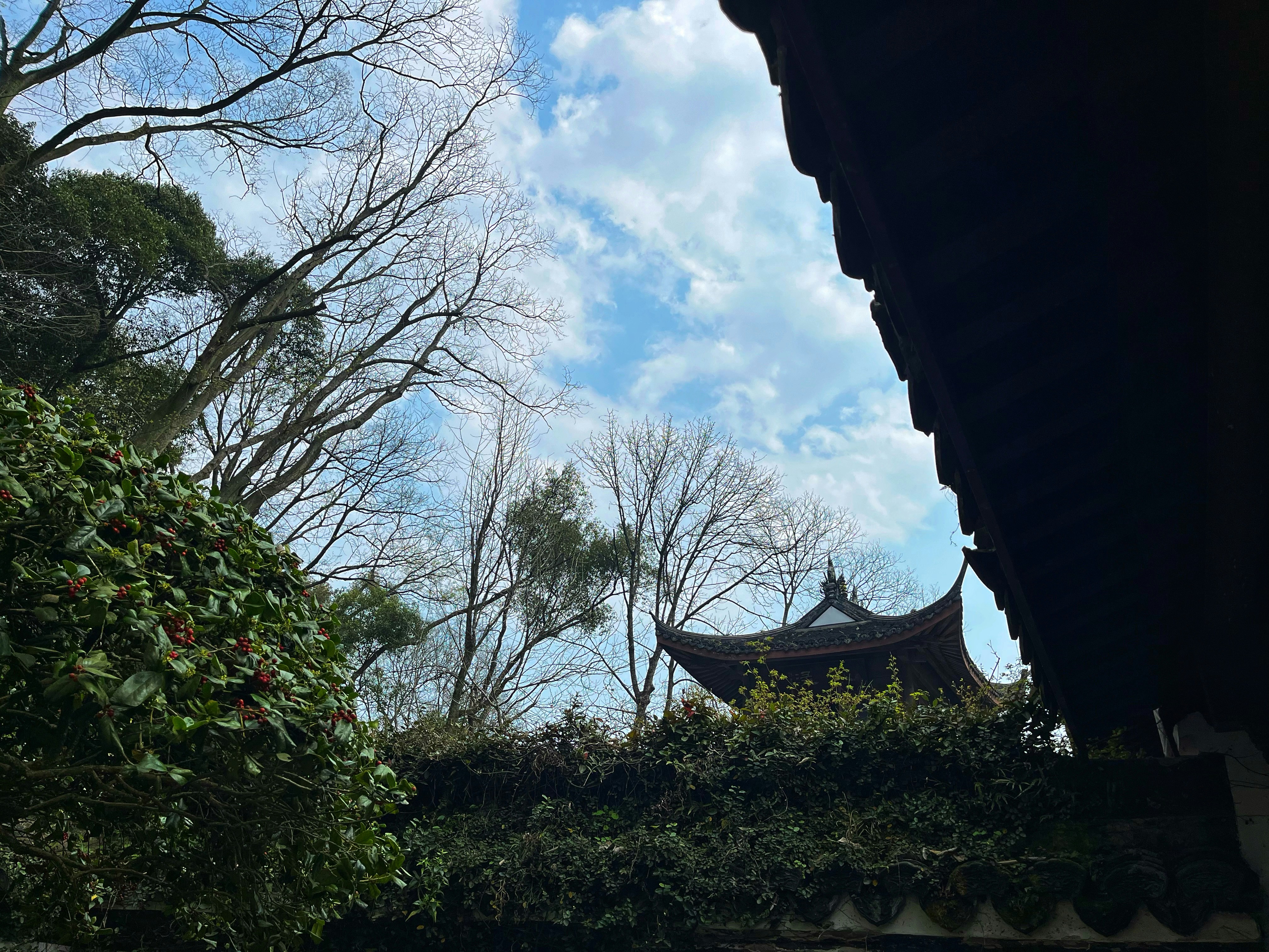 Hidden Pagoda Peak Among Leafy Silhouettes