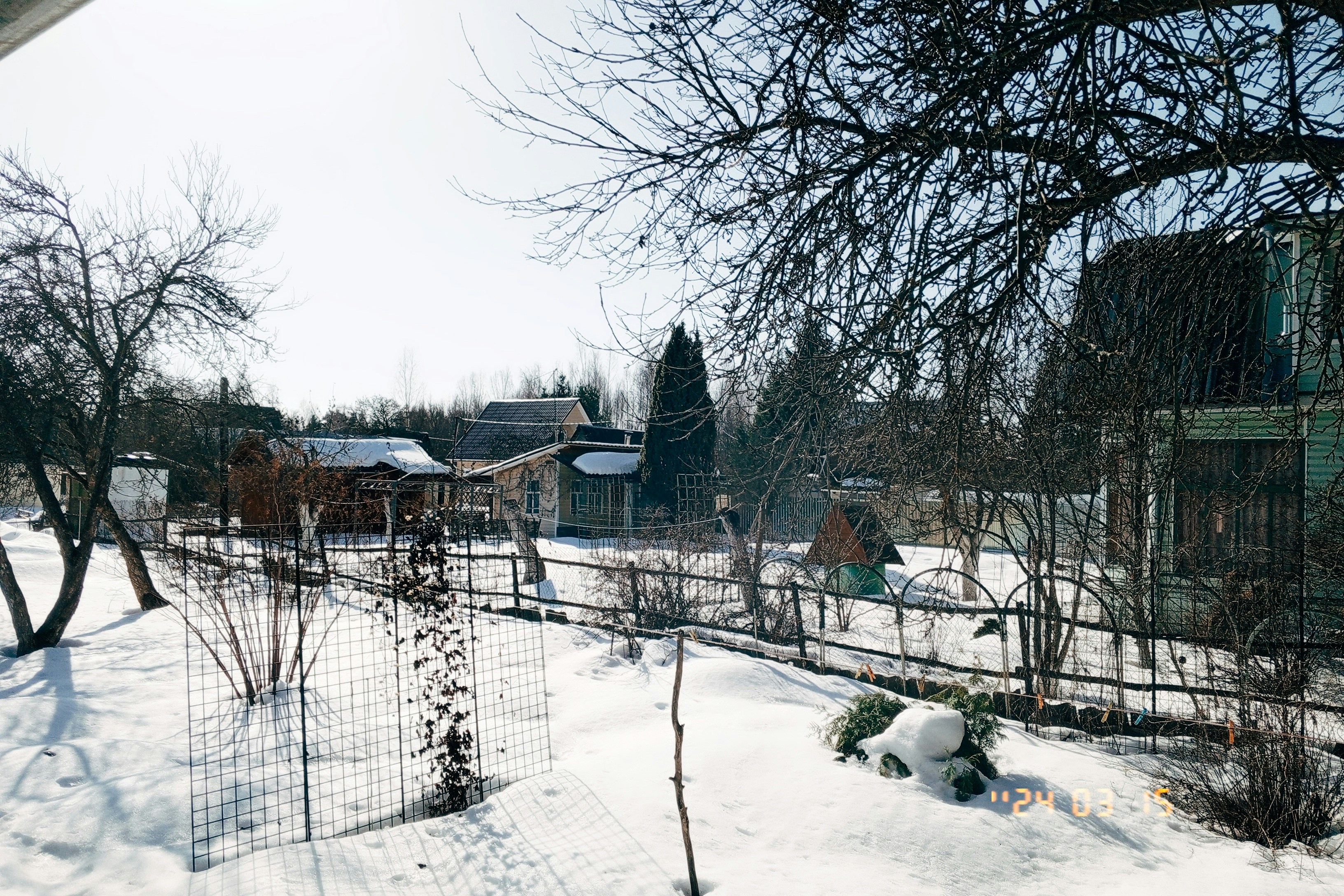 Snowbound Village Vista with Fenced Garden in Soft Winter Light
