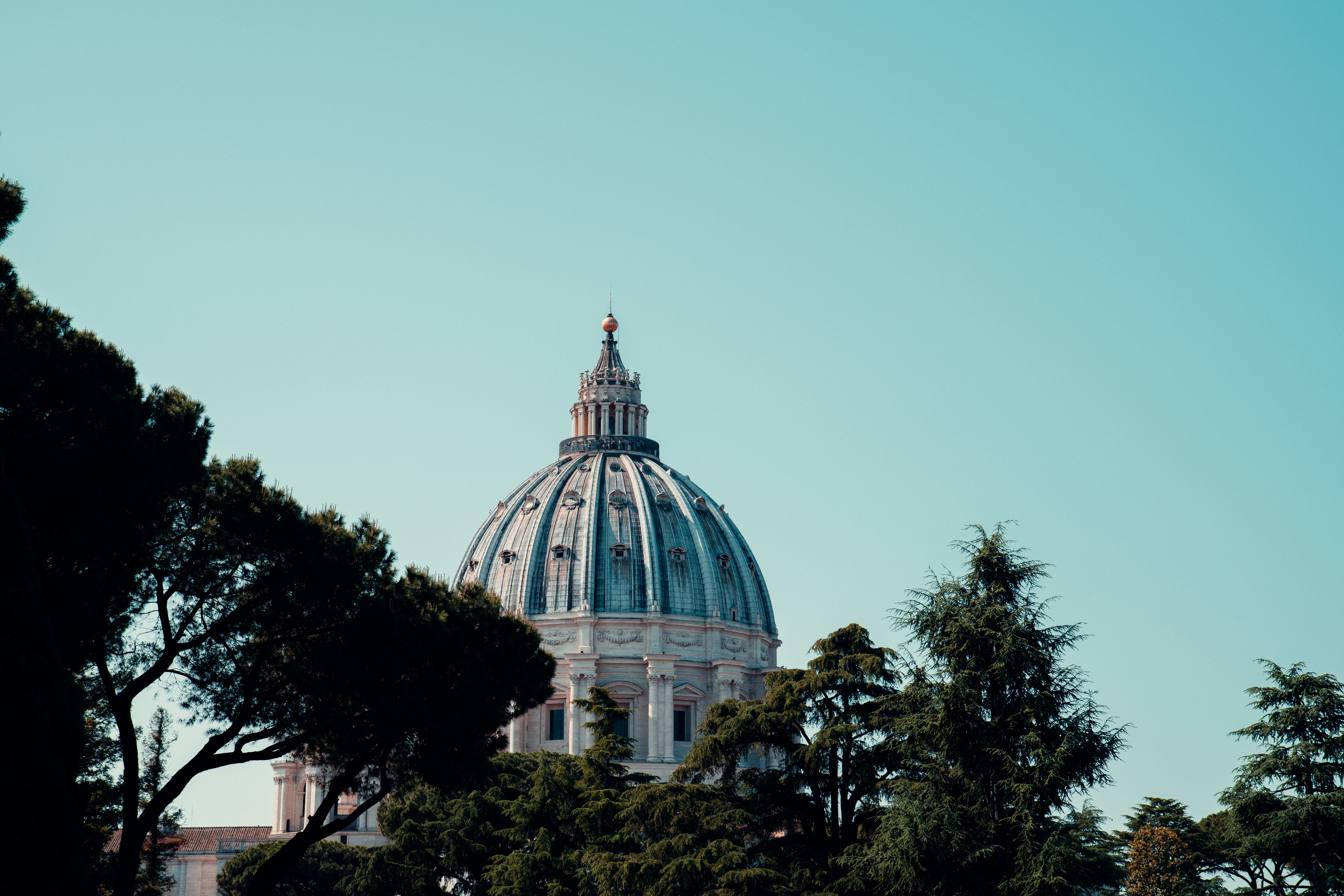 A dome on top of a building surrounded by trees photo – Free Vatican ...