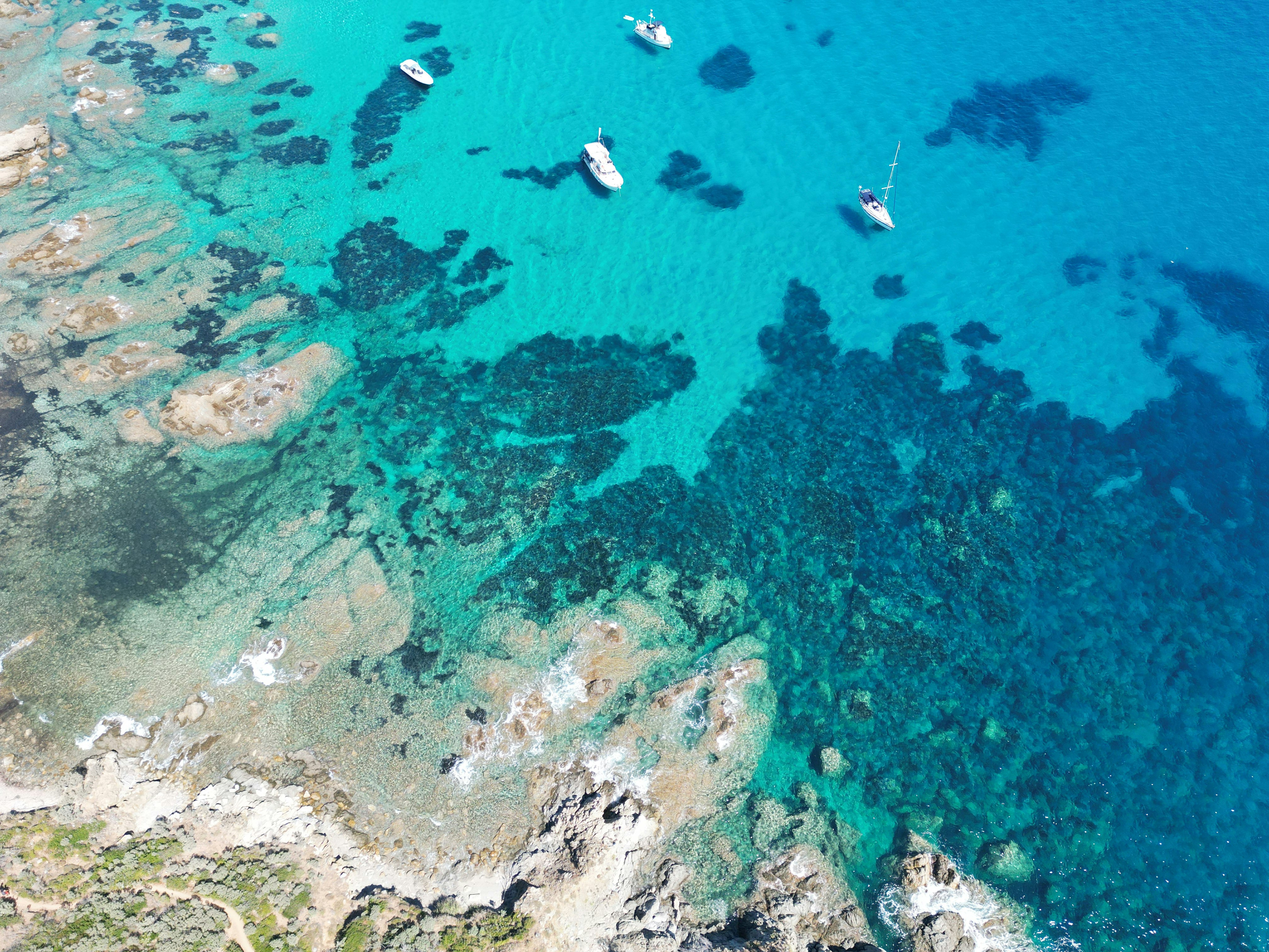 Azure Serenity: A Coastal Dance