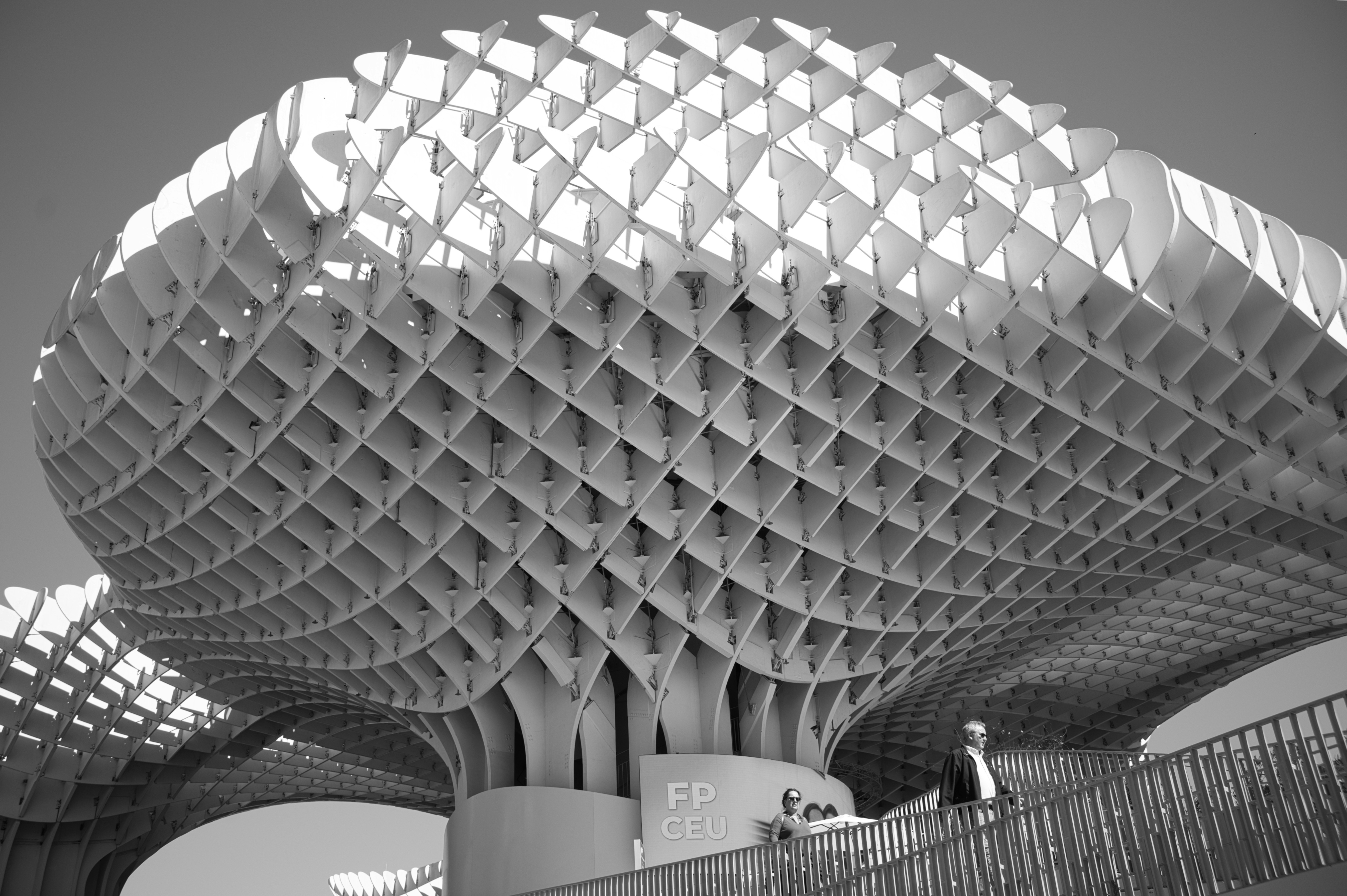 Lattice Canopy Overlook: Honeycomb Rails of Light and Shadow