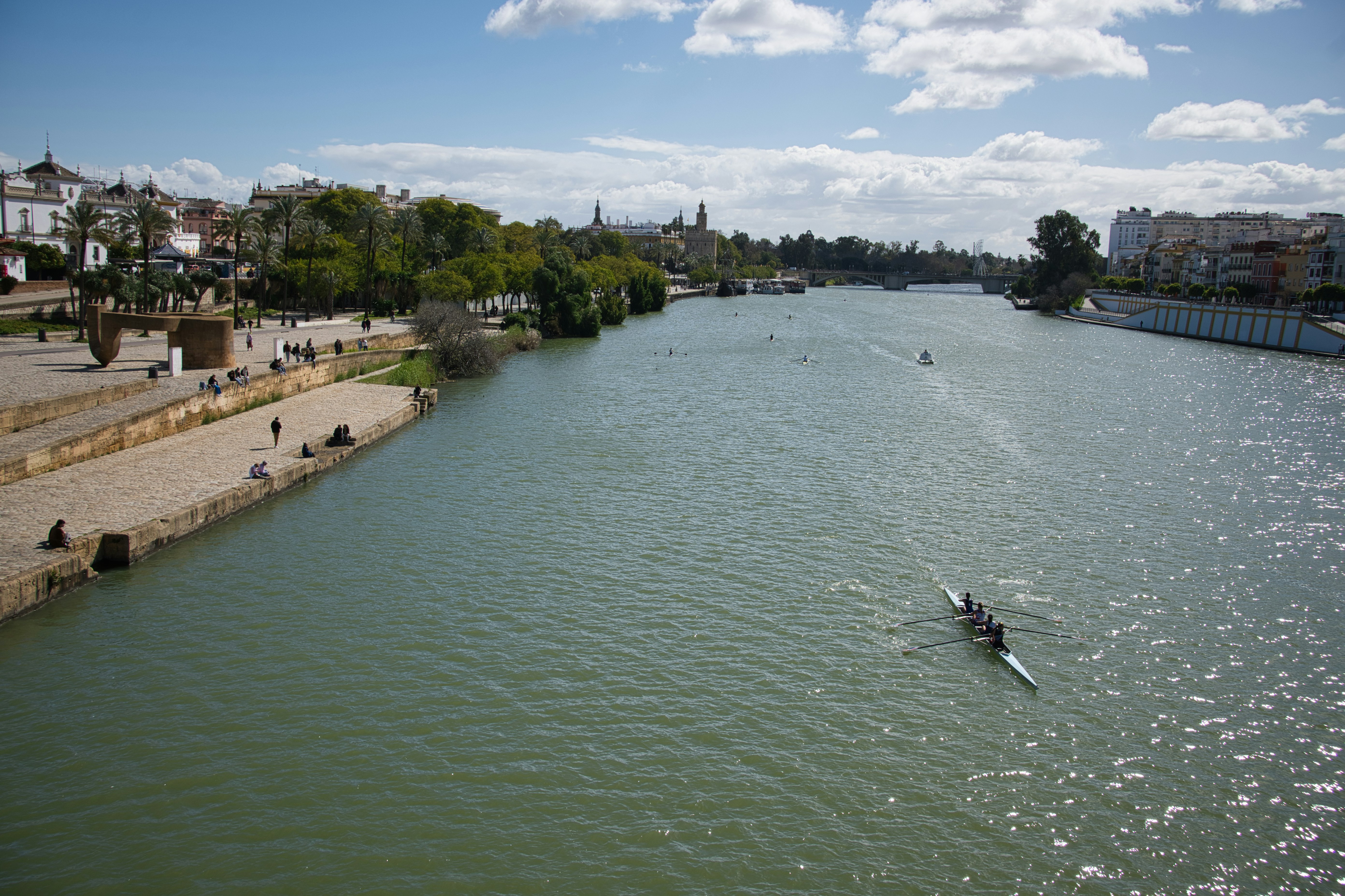Una persona remando en un bote por un río foto – Imagen de Sevilla ...