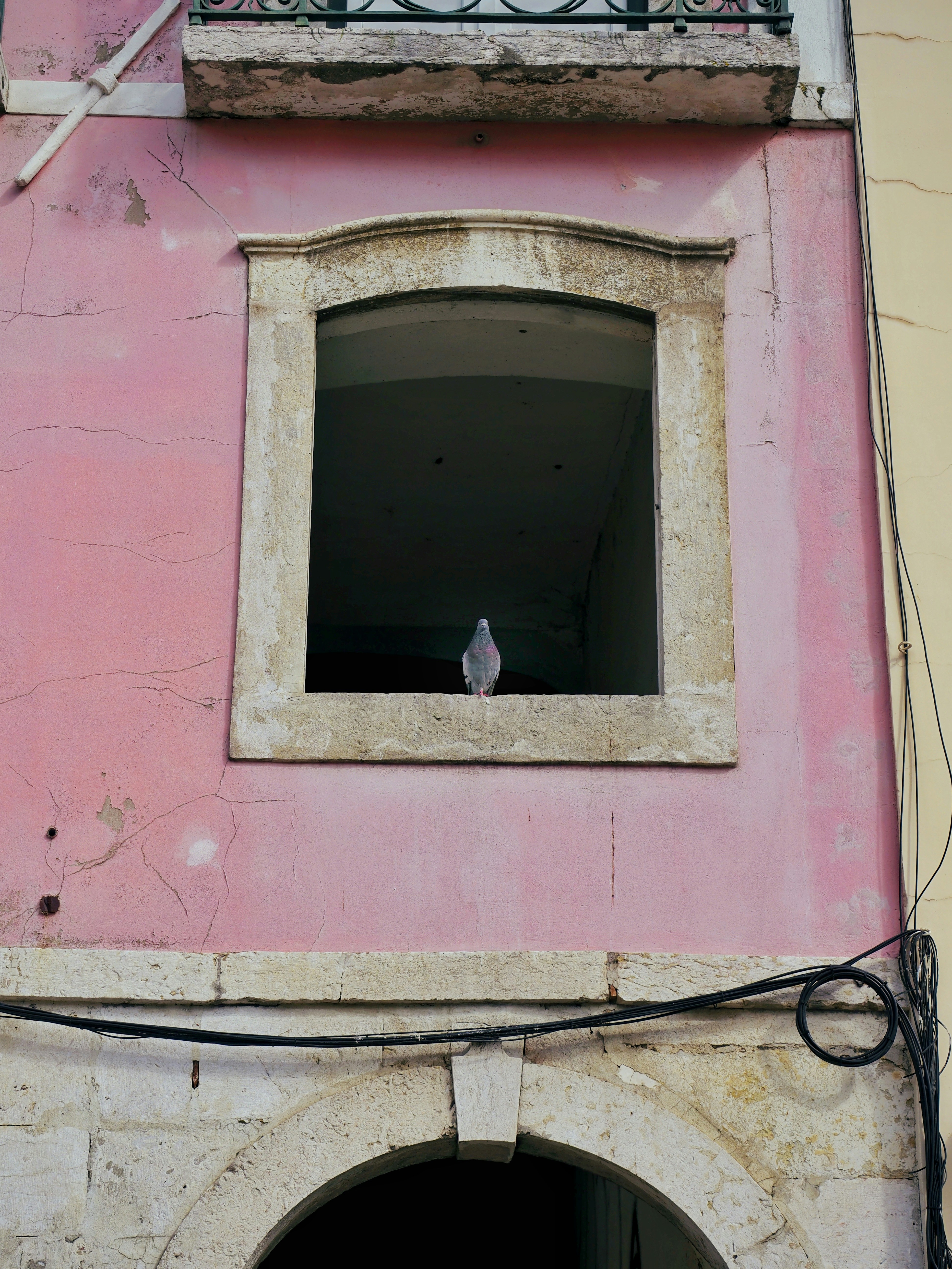 A pigeon on an empty window of a pink building