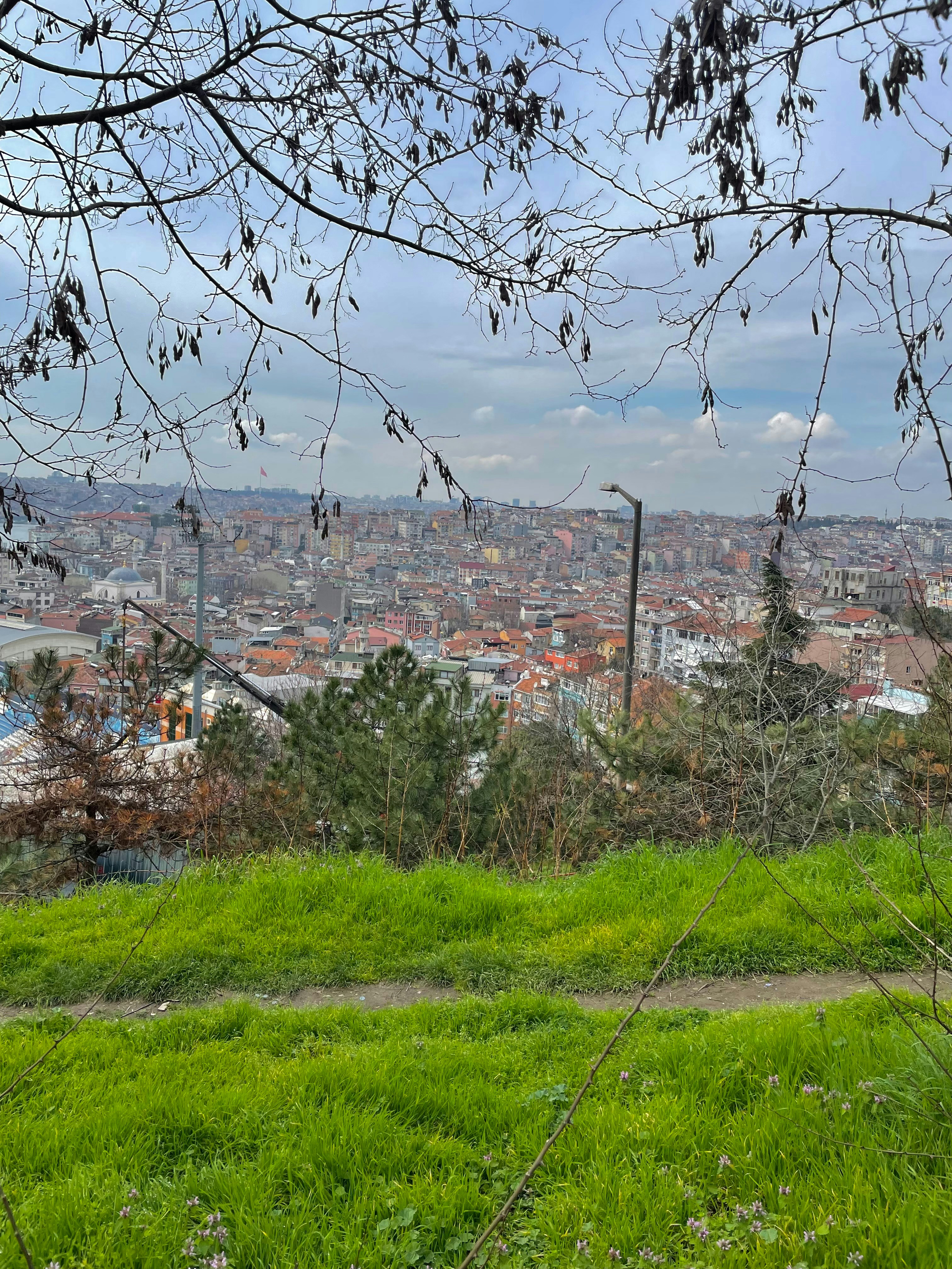 Green Verge Overlooking a Sea of Red-Tiled Rooftops