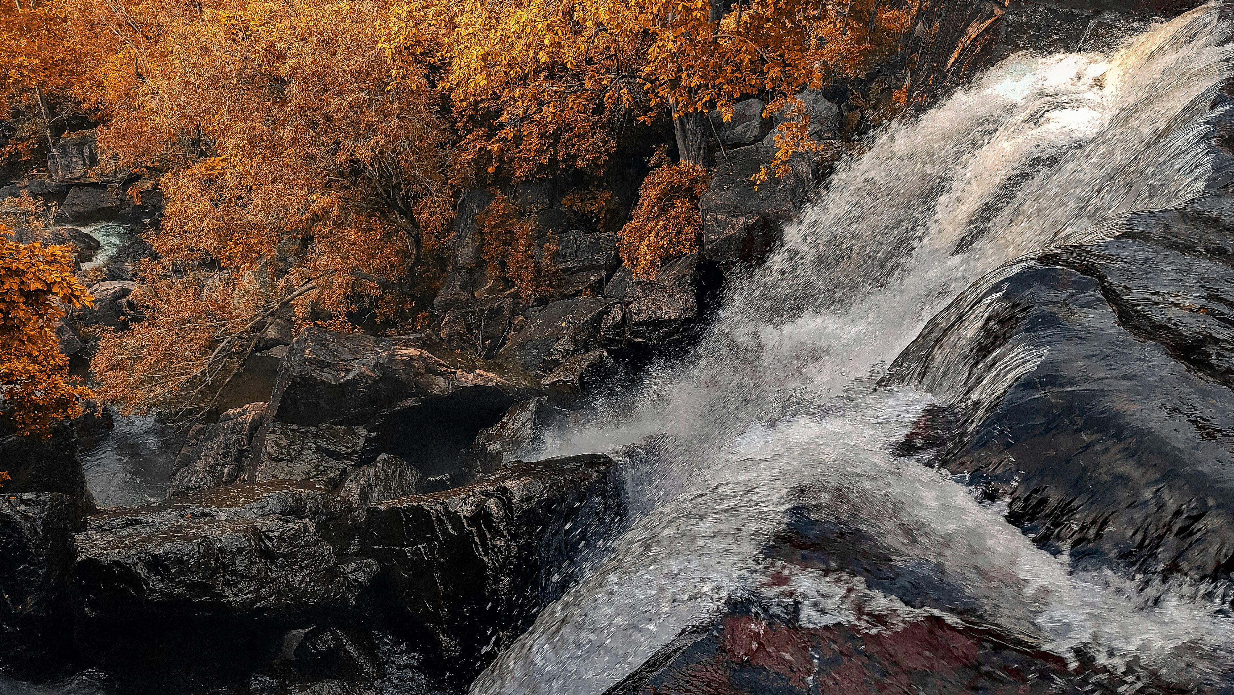 Autumn Cascade: Golden Leaves Framing a Silvery Rush