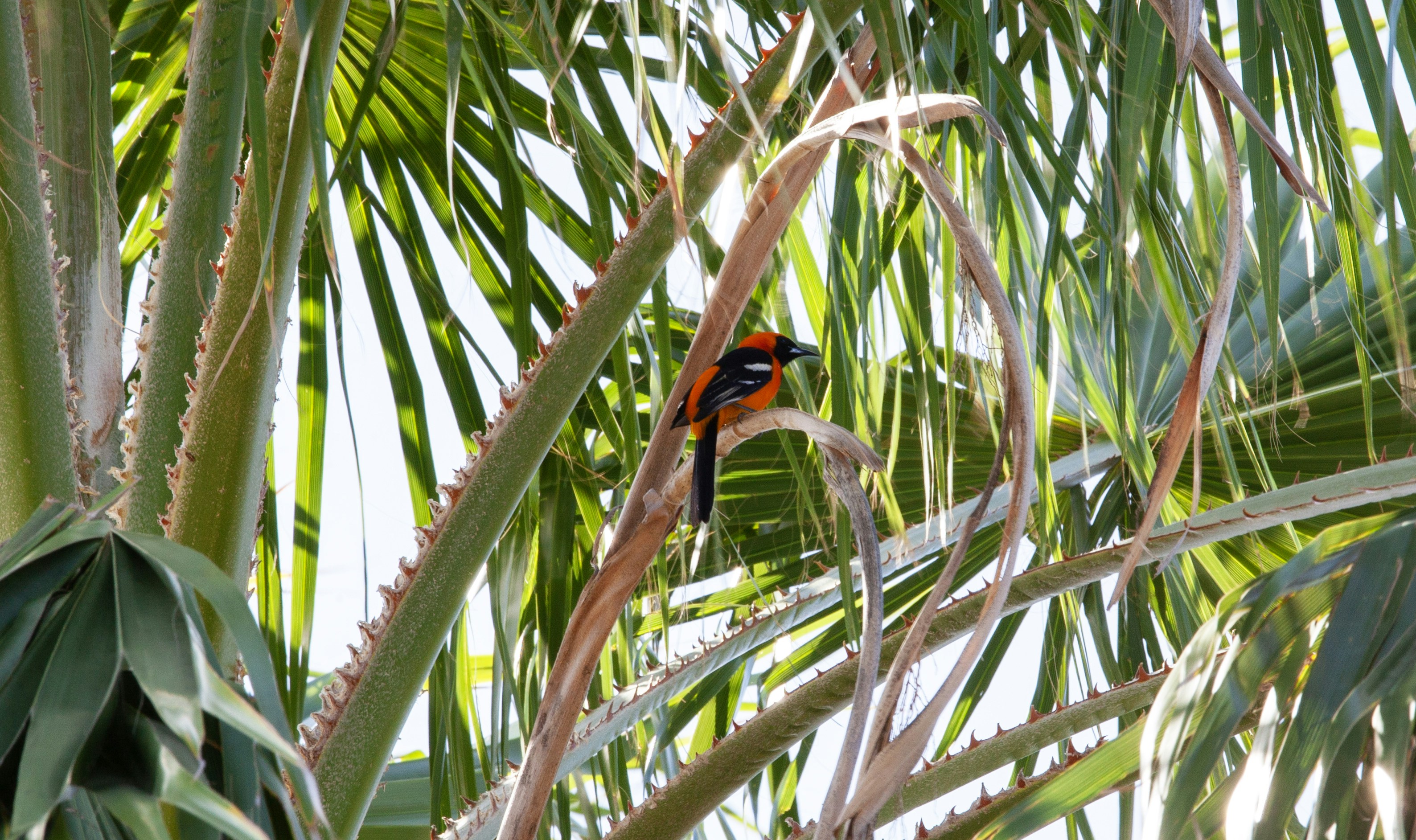 Photo by Alfonso Betancourt with Canon EOS 5D Mark II