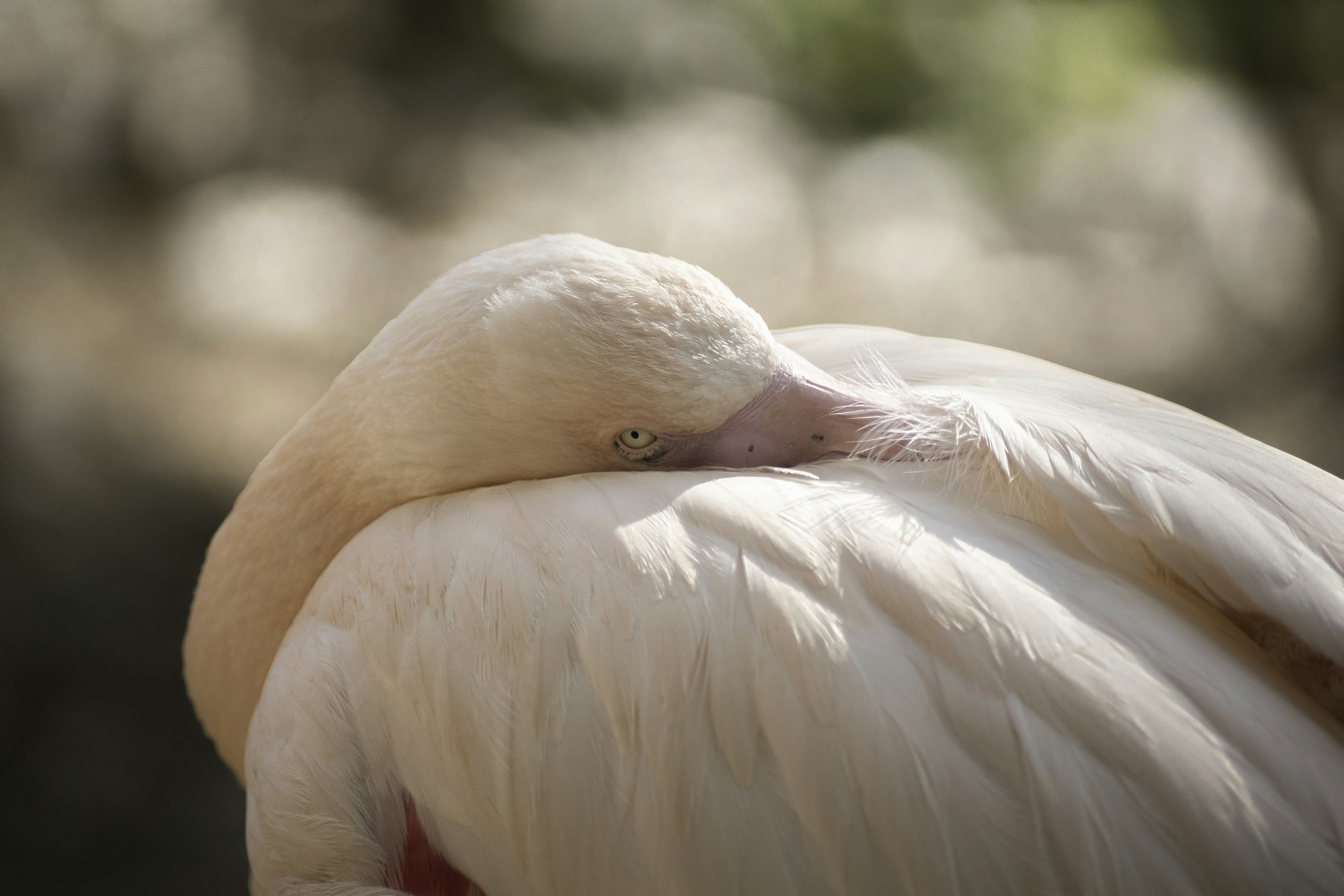 Makro Momente | Unsplash