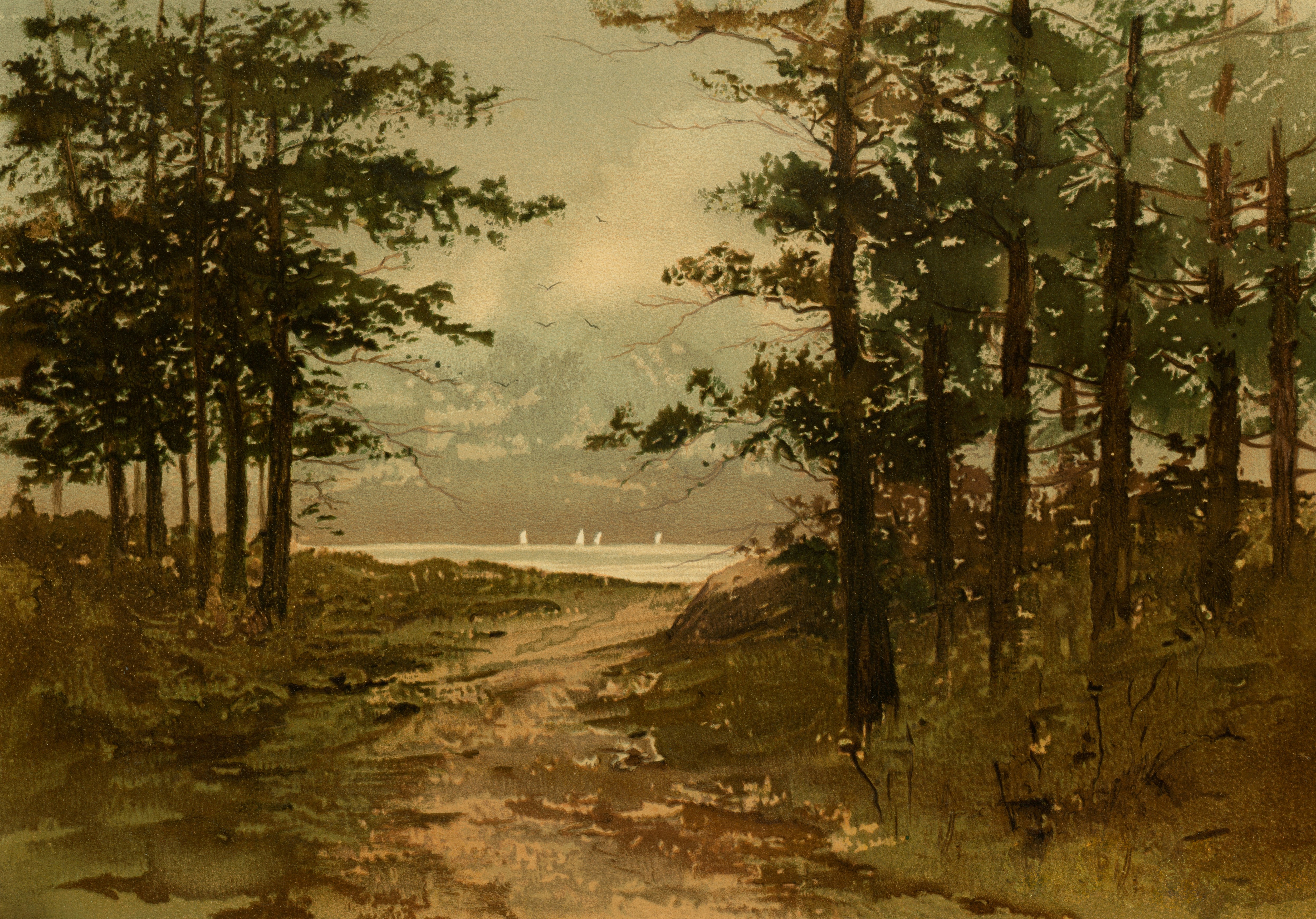 Title: No. 308 Publisher: L. Prang & Co. Artist: Harlow, Louis K. (Louis Kinney), 1850-1913 Name on Item: Louis K. Harlow Date: (c) 1887 https://www.digitalcommonwealth.org/search/commonwealth:5m60qt709