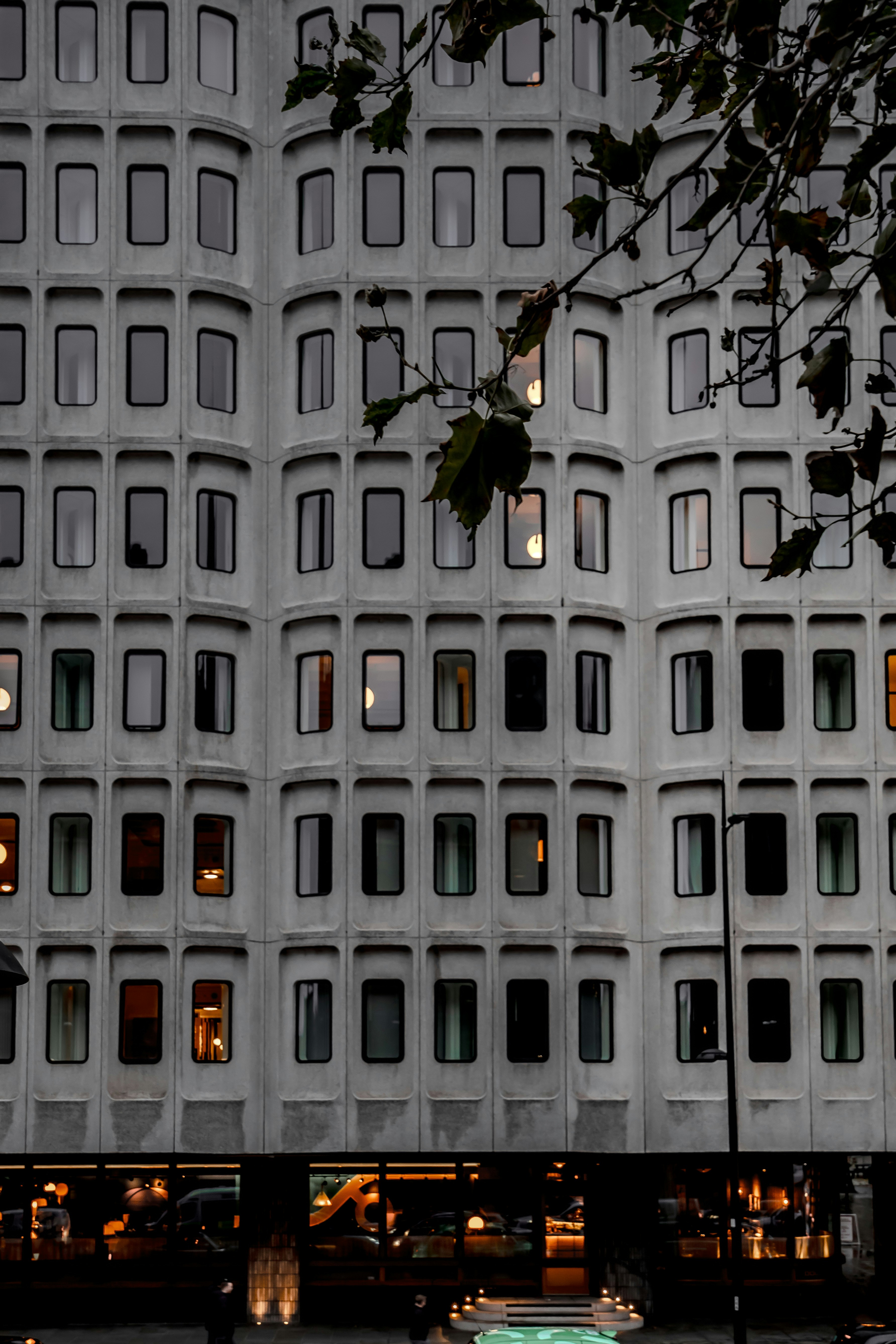 Grid of Light: Concrete Facade Framed by Branches