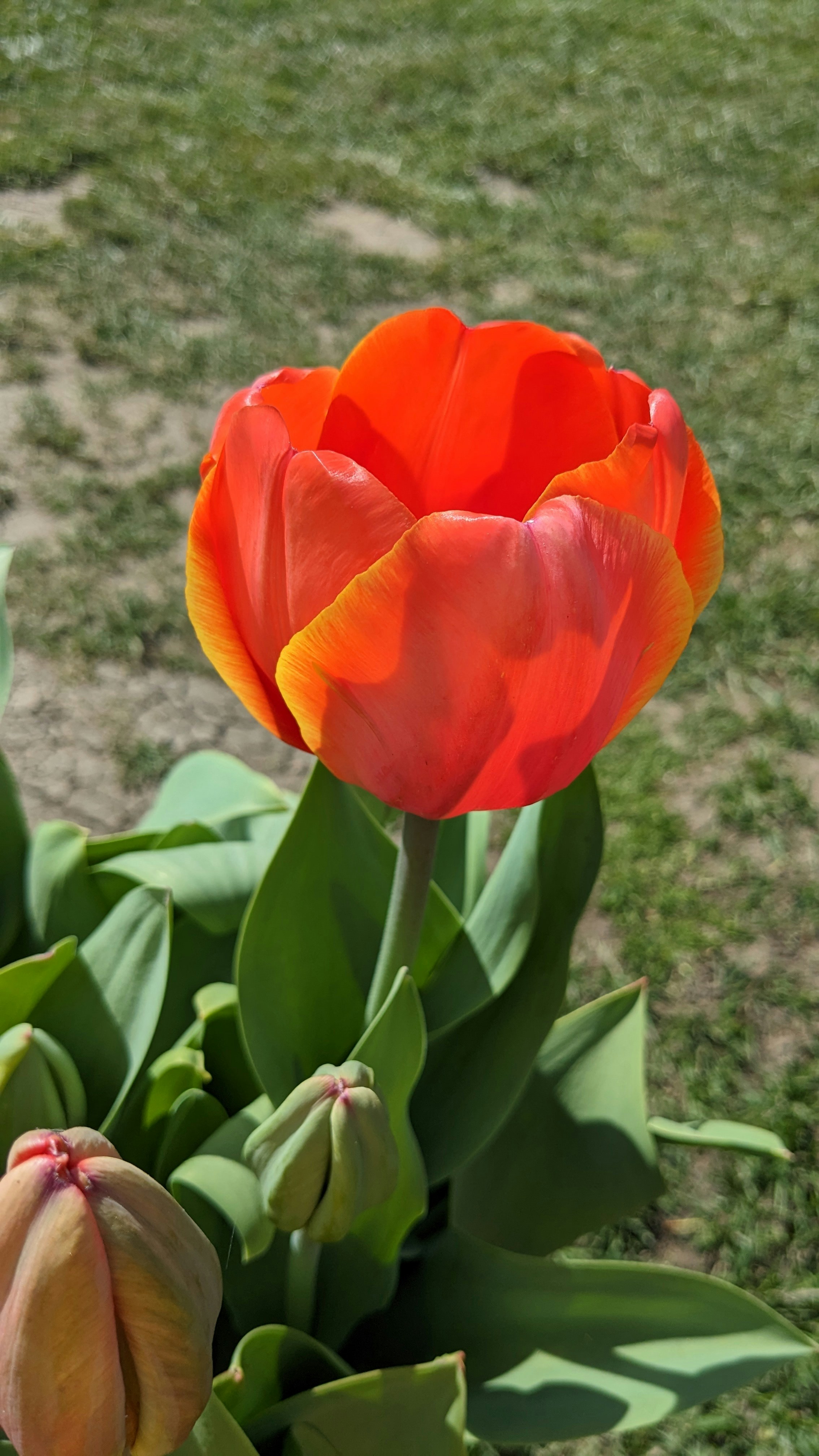 Photo by Div Manickam with Google Pixel 4