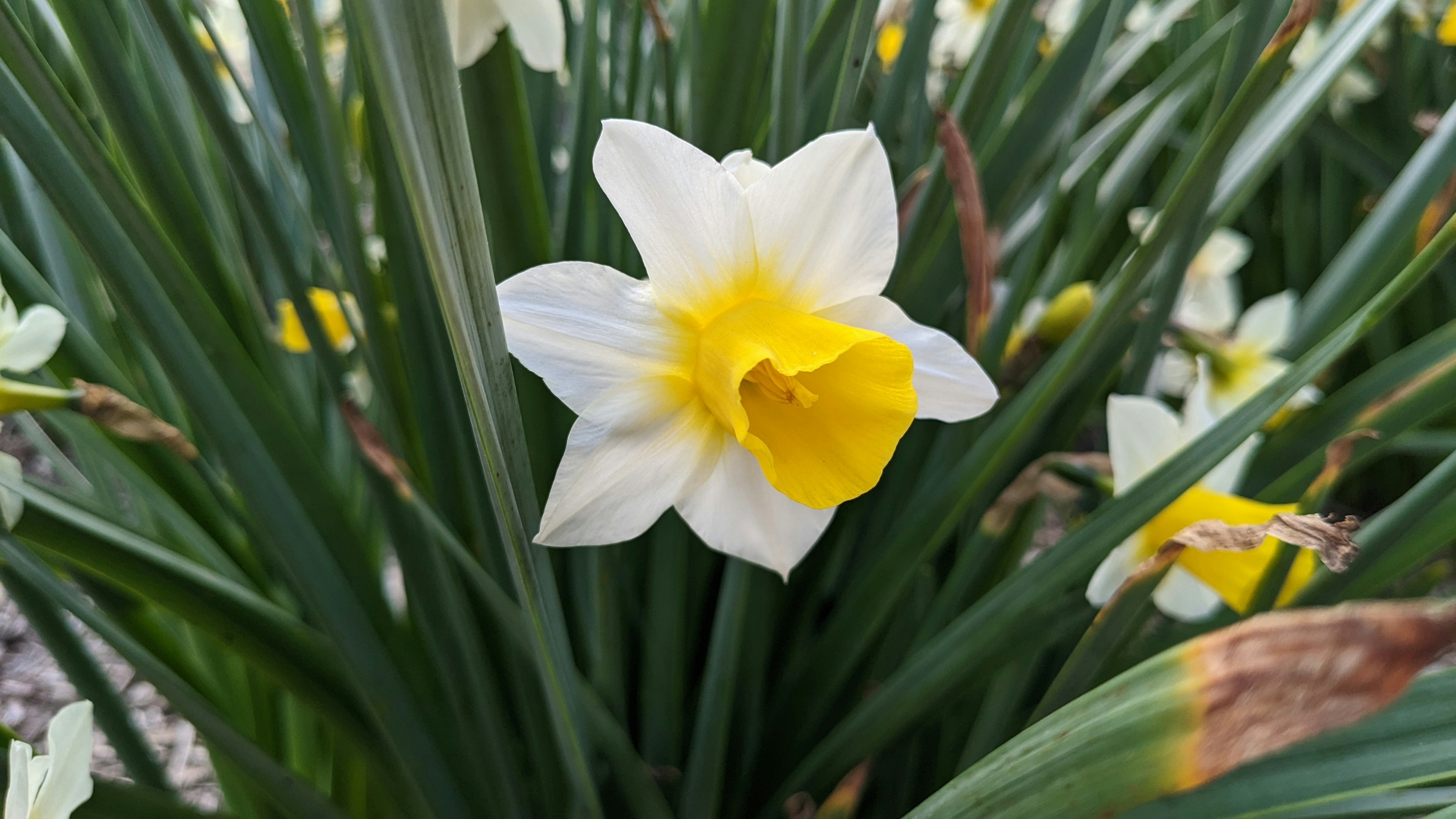 Photo by Div Manickam with Google Pixel 4