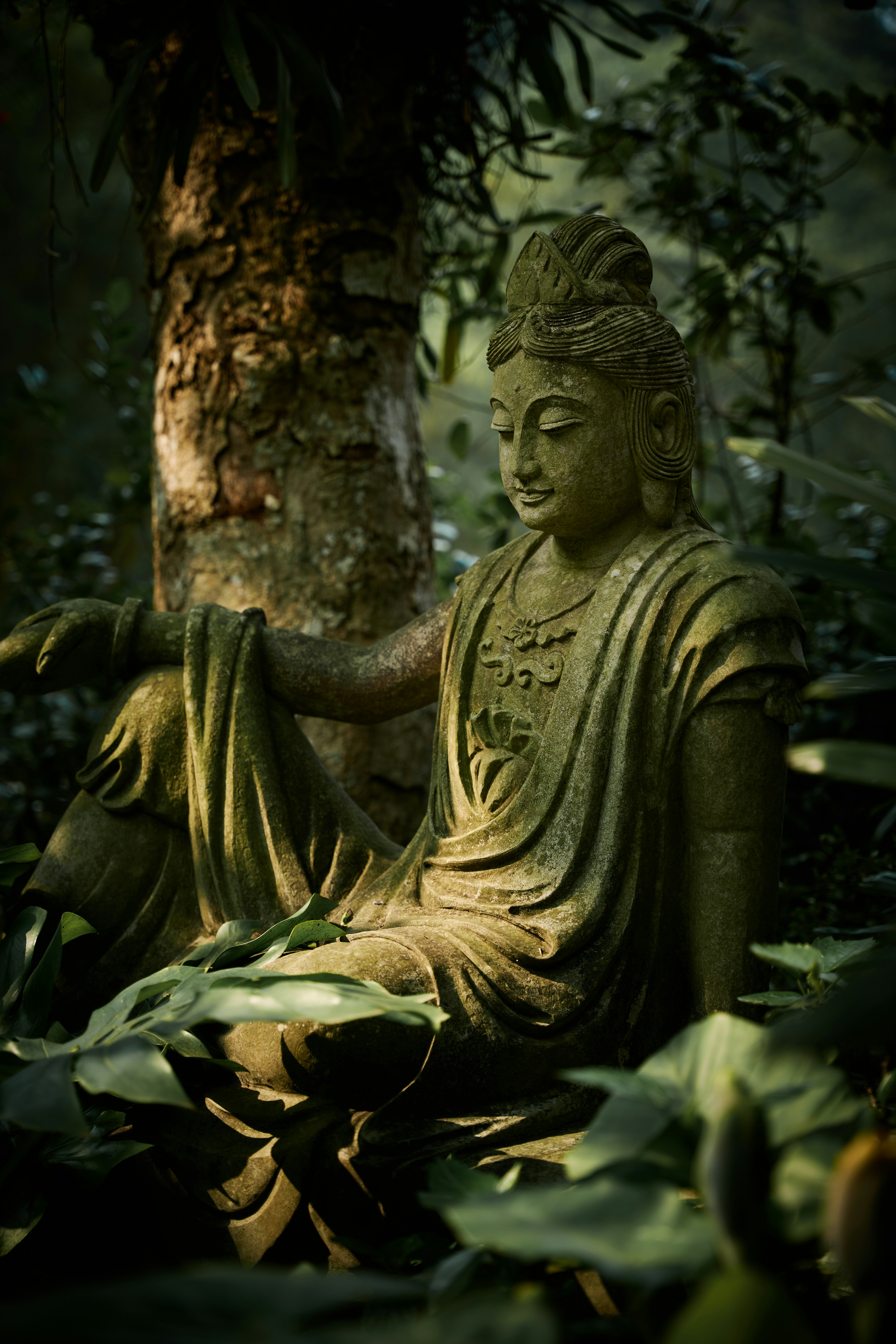 A buddha statue sitting in the middle of a forest photo – Free Buddha ...