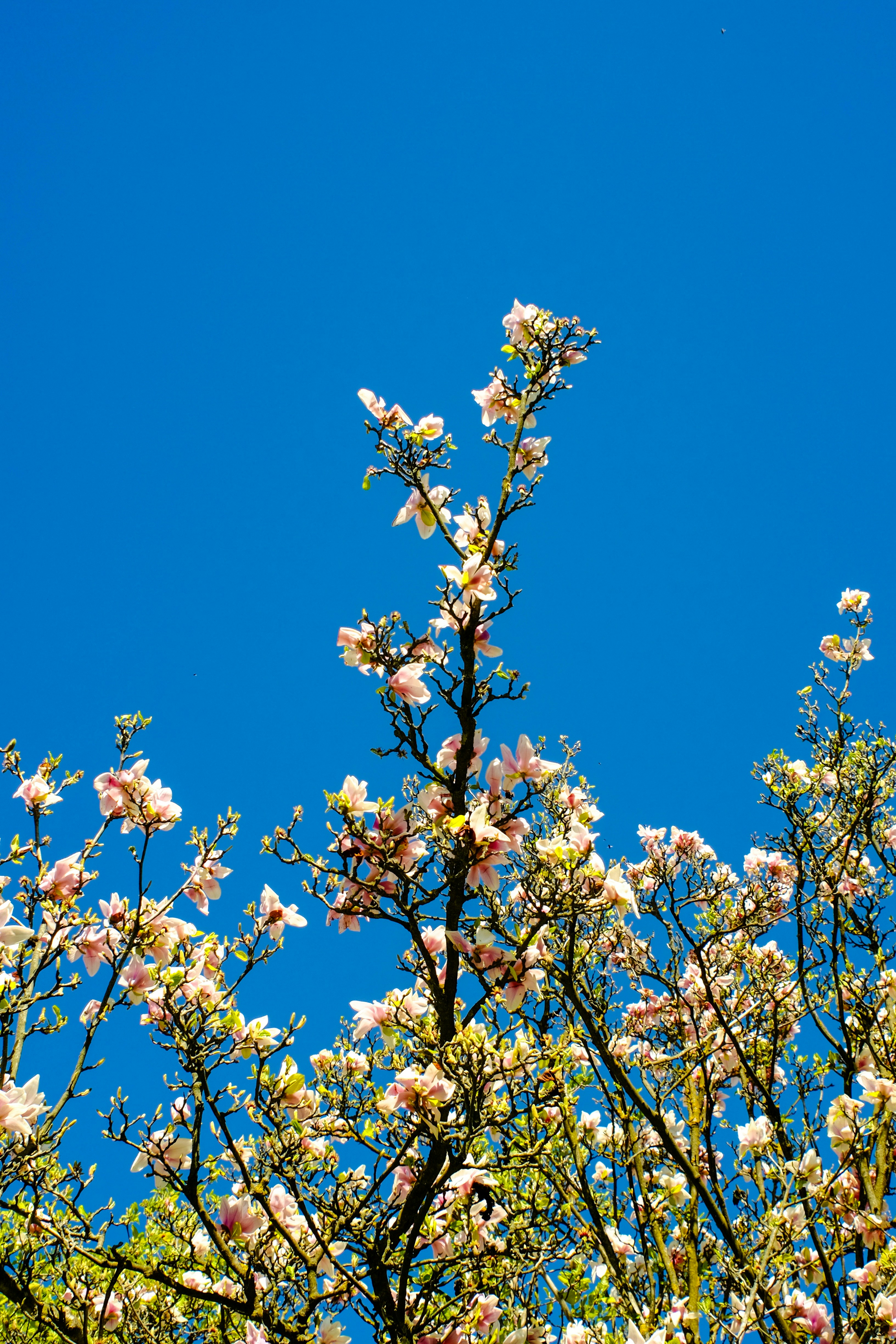 Photo by Esteban Trivelli with Fujifilm X-T1