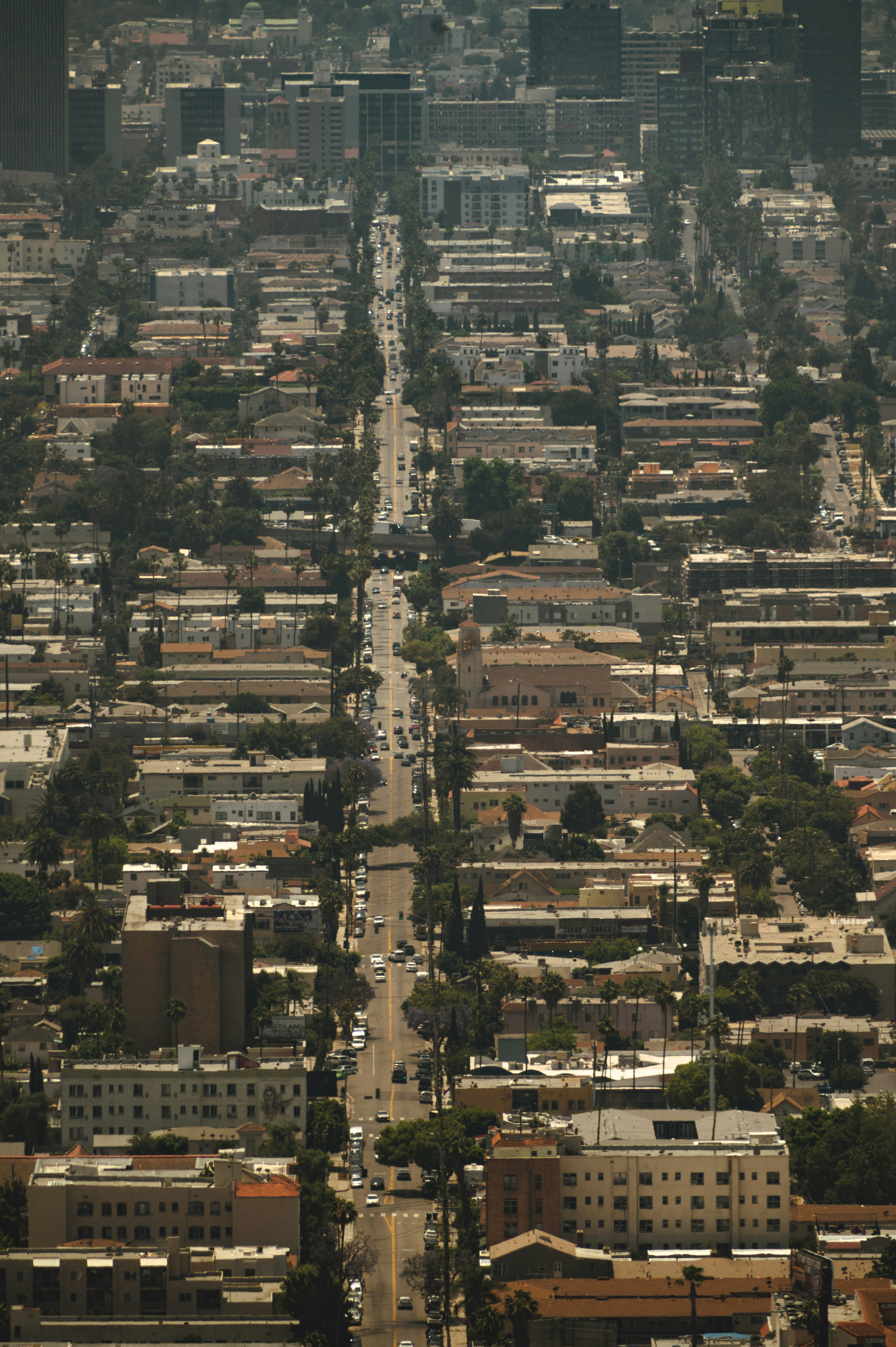 Photo by Luke Miller with Nikon Z6