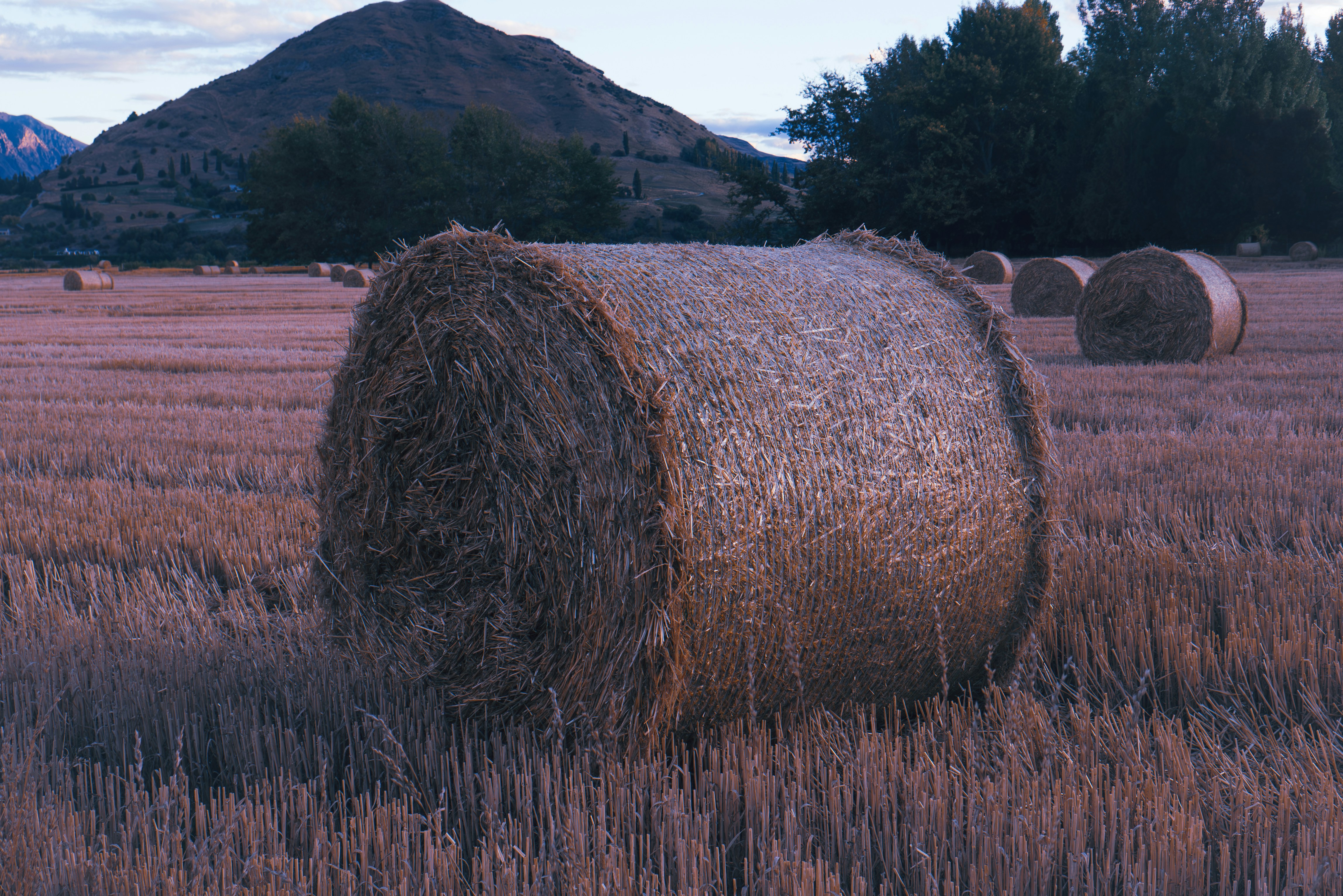 Hay bales in a field with mountains in the background photo – Free Hay ...