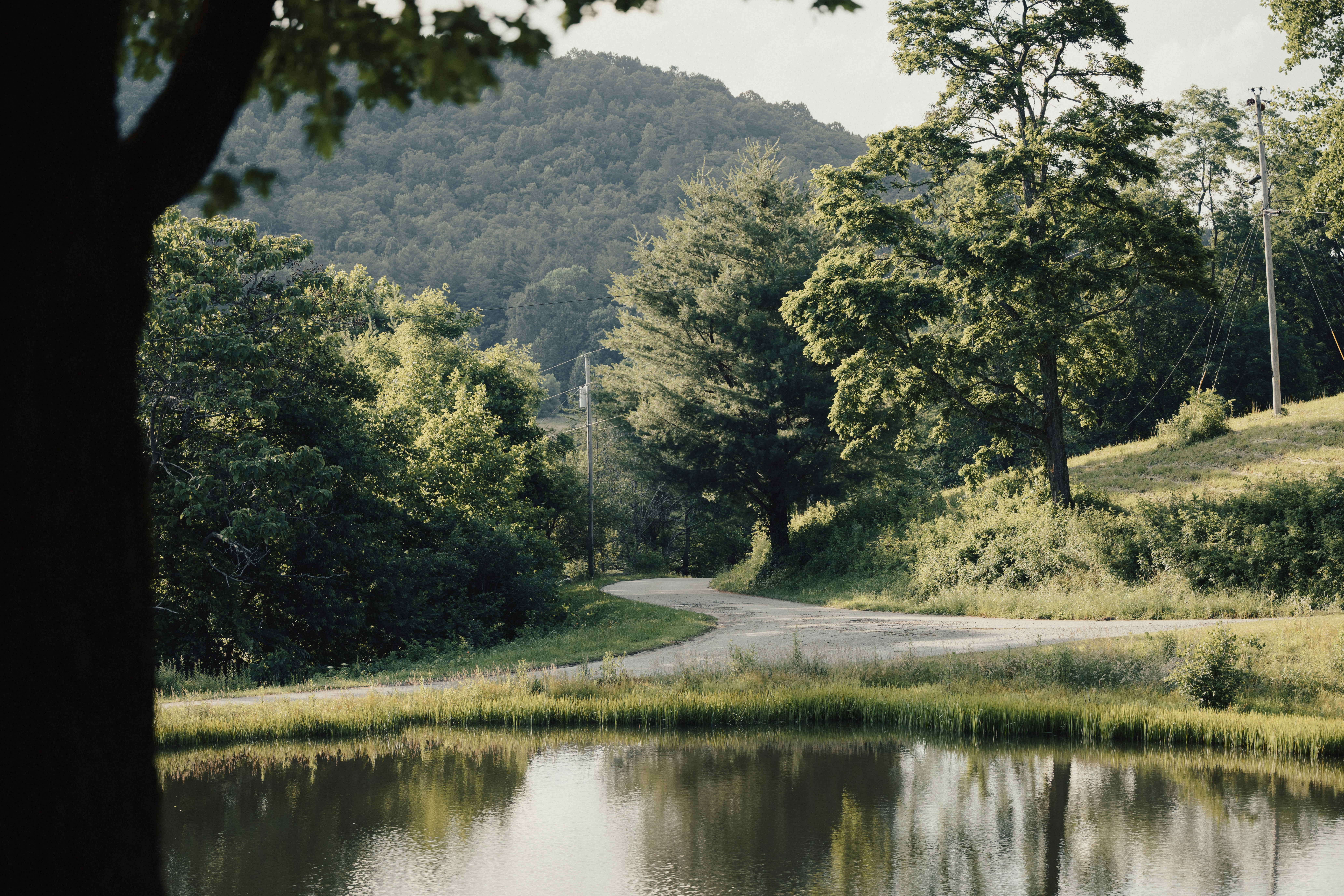 Serene countryside photograph showing a winding dirt road through grassy terrain, with a reflective pond in the foreground and forested hills in the distance.