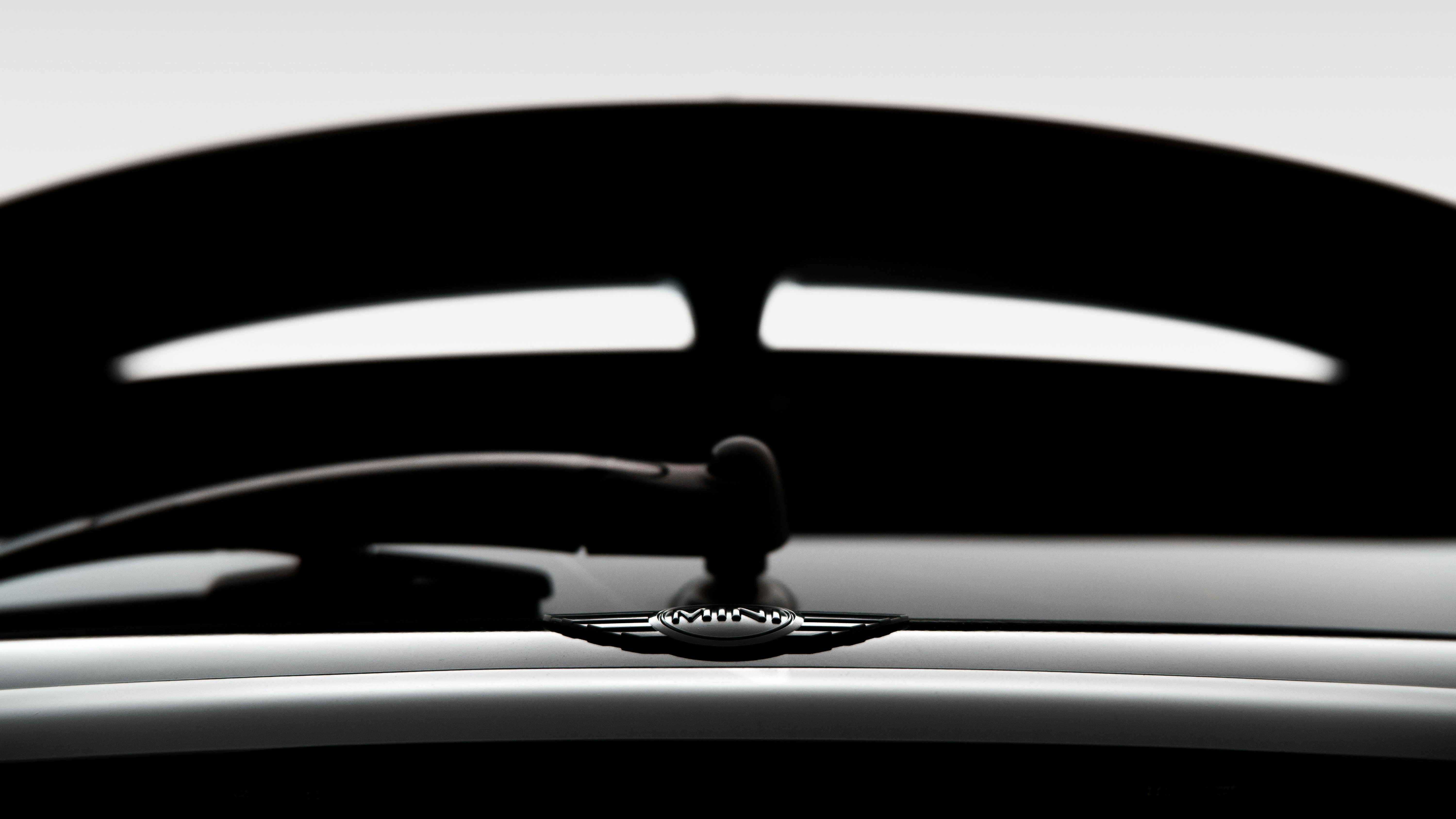 Chrome Crown: The Hood Ornament in Black and White