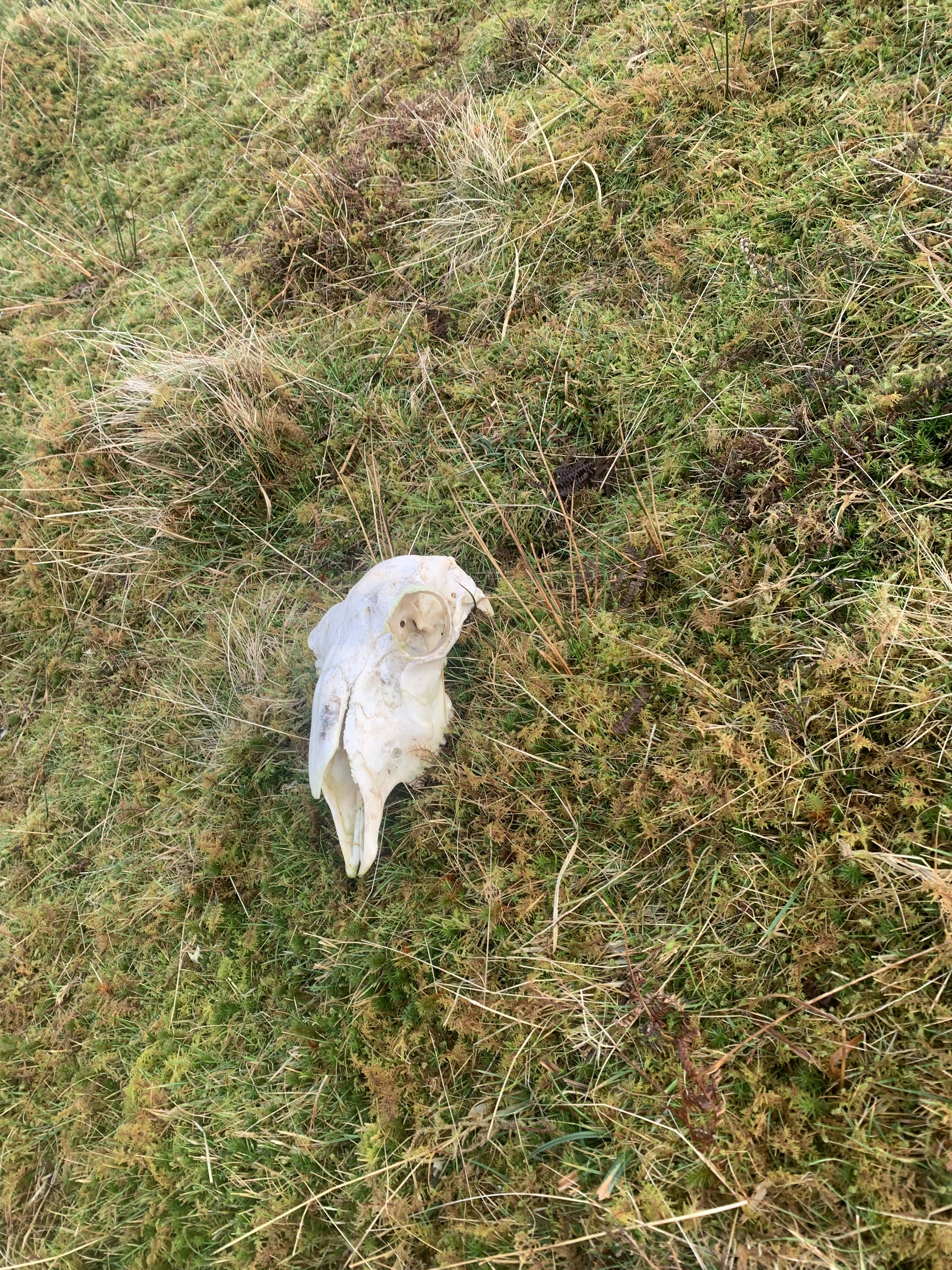 Jasper (@crows_core) | Communauté photos Unsplash