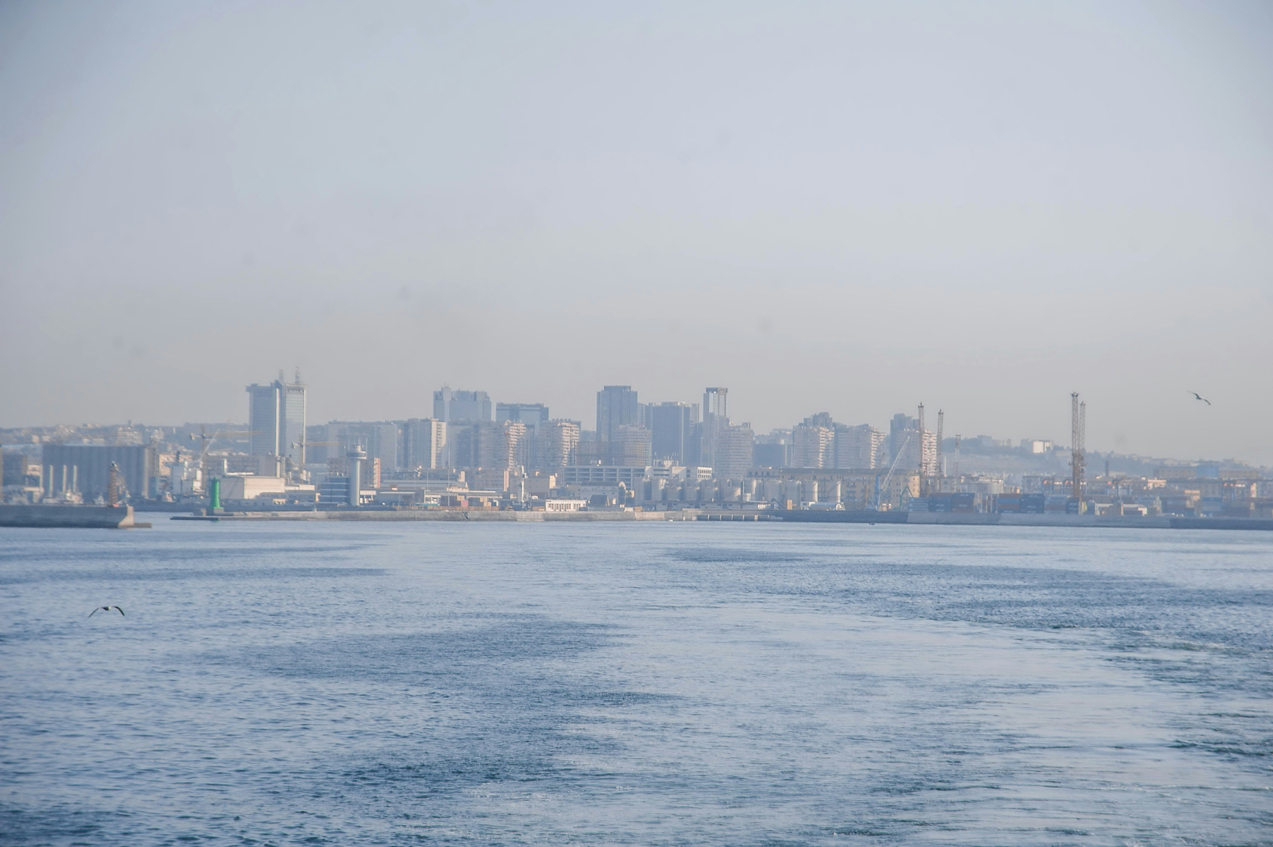 Photo by Olga Angelucci with Nikon D700