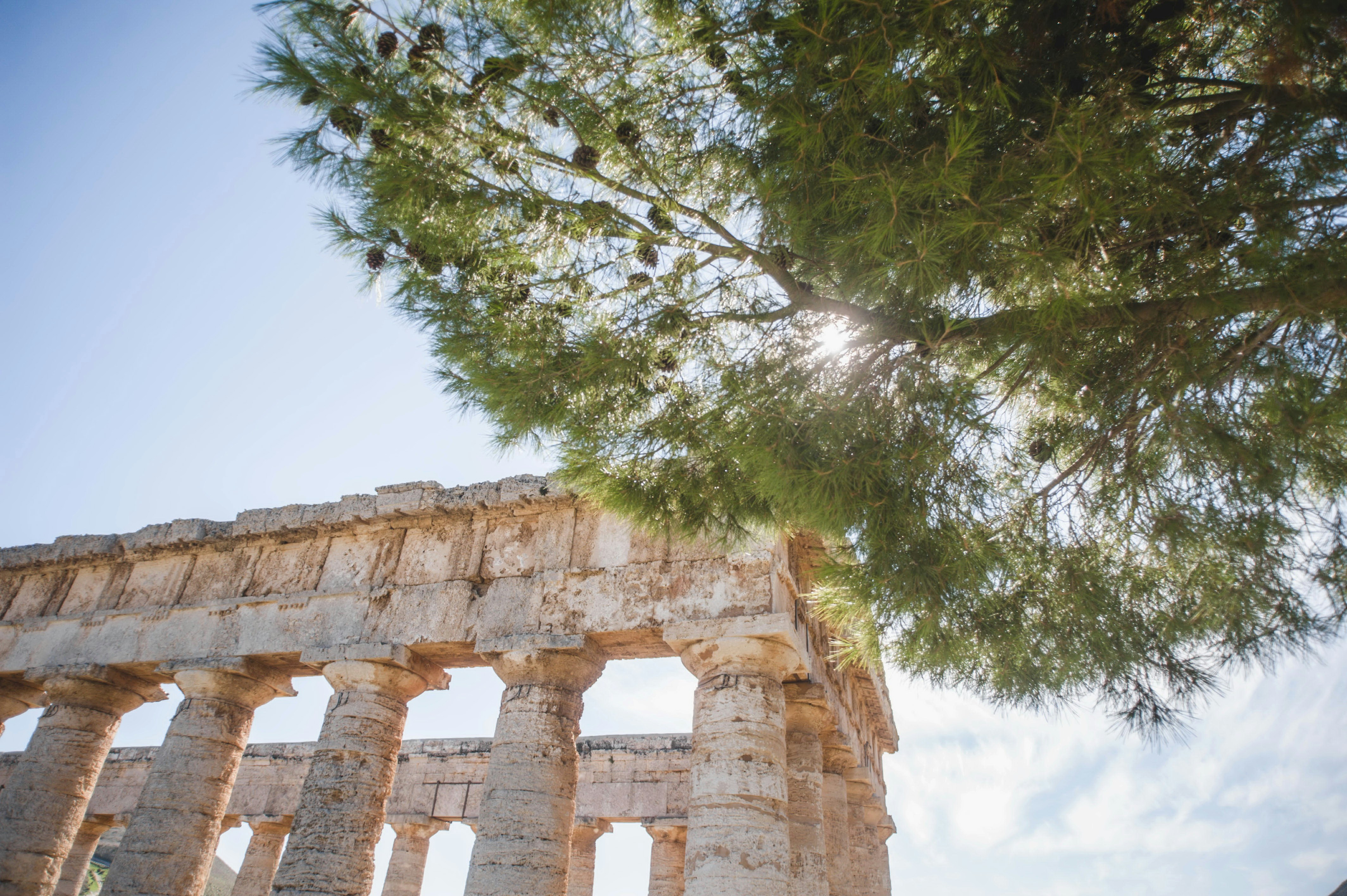 Whispers of Ancient Stone and Sunlit Pines