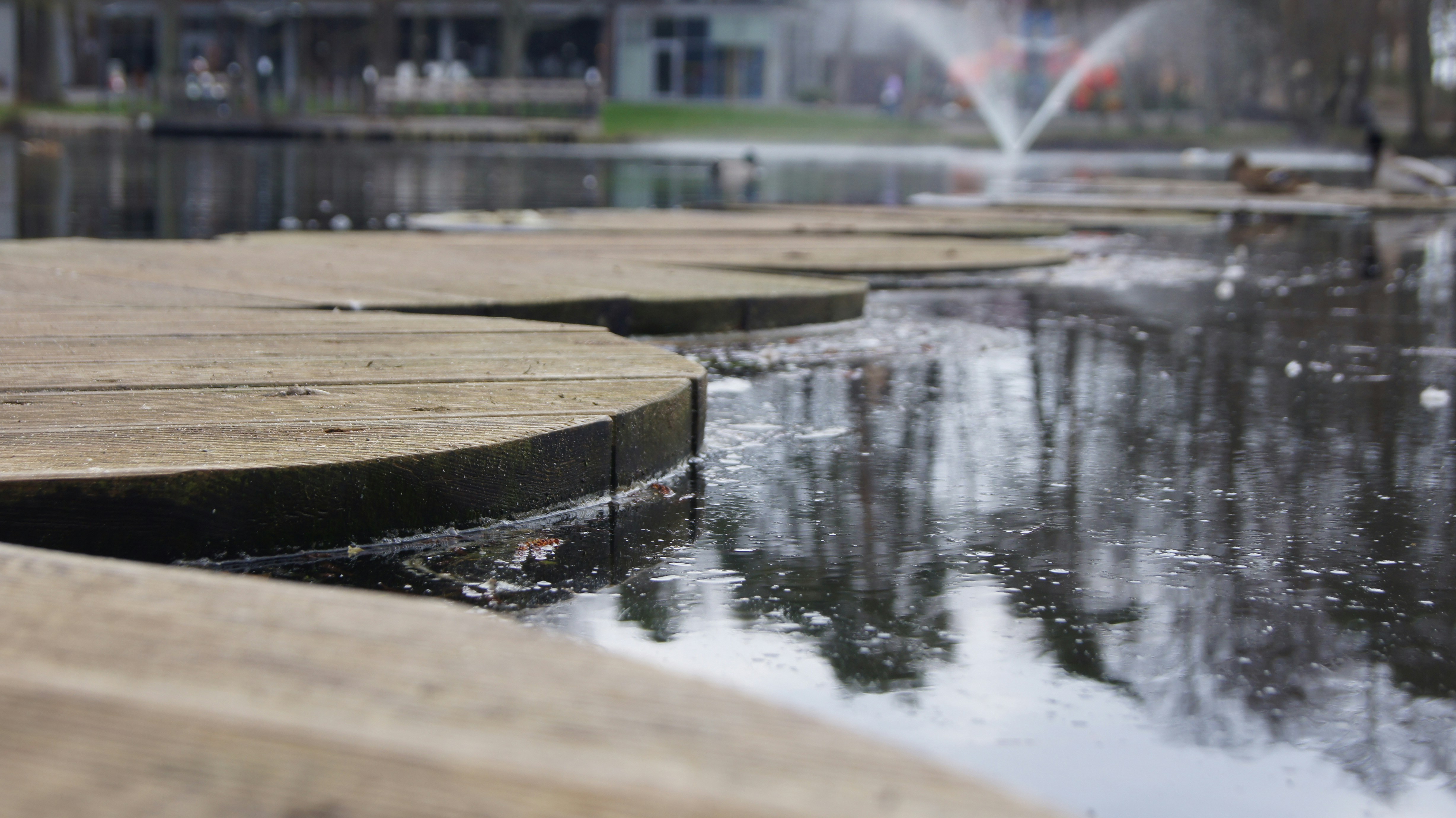 Curved Stone Steps Lead a Quiet Path Along a Park Pool