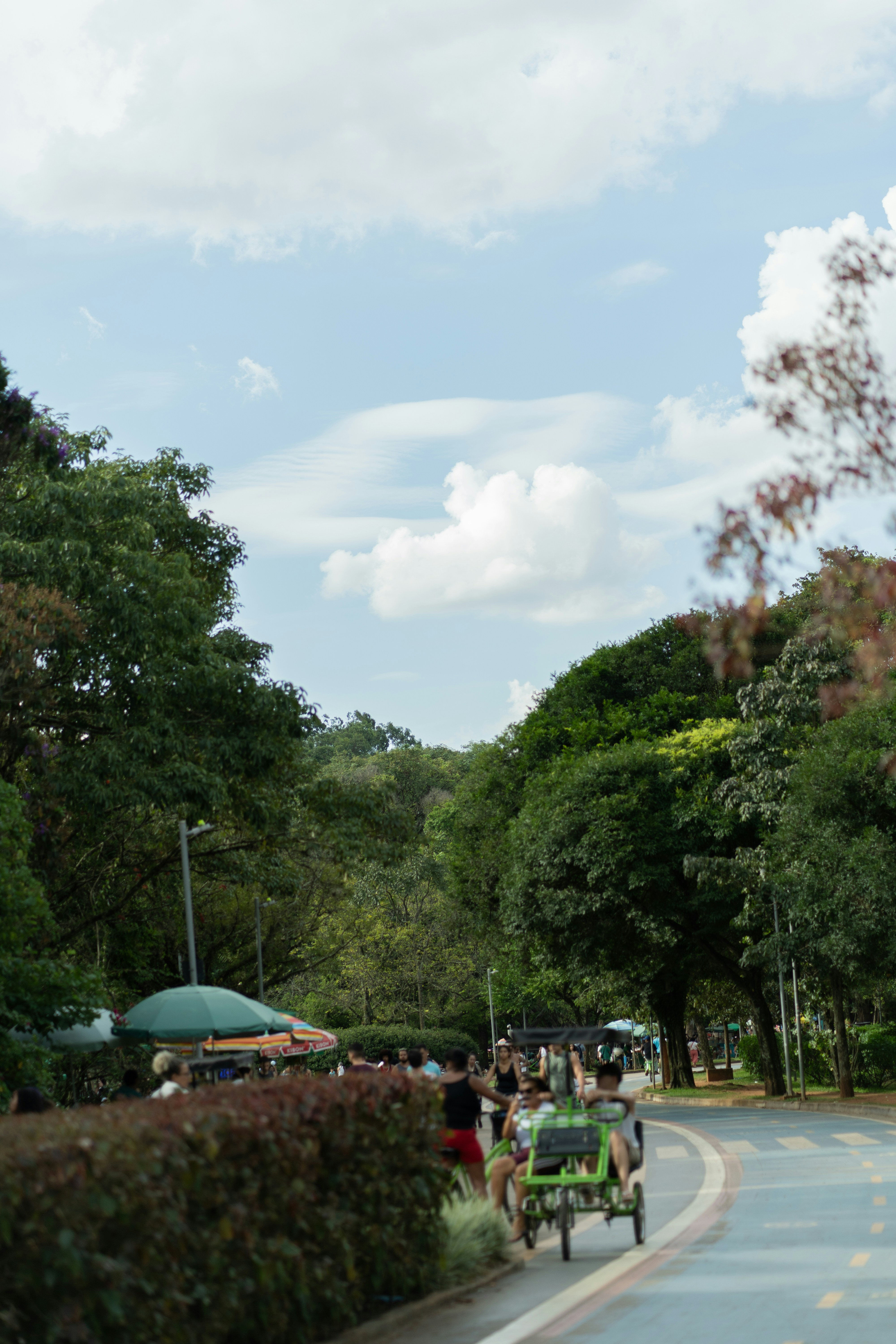Green Pedal-Cart on a Curve: Summer Stroll in a Tree-Lined Park