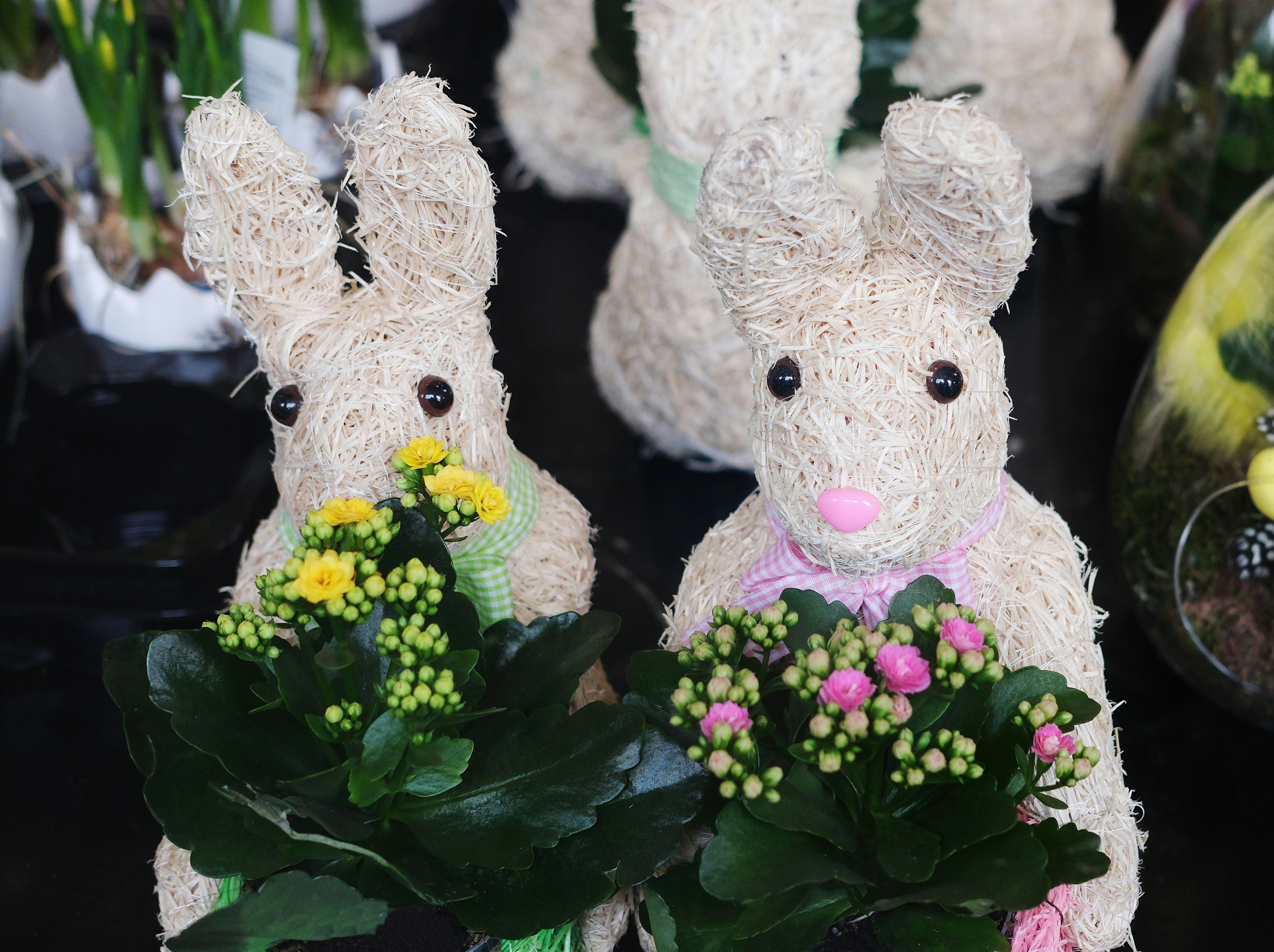 Pastel Straw-Bunny Duo Adorned with Fresh Florals on a Sunlit Tabletop