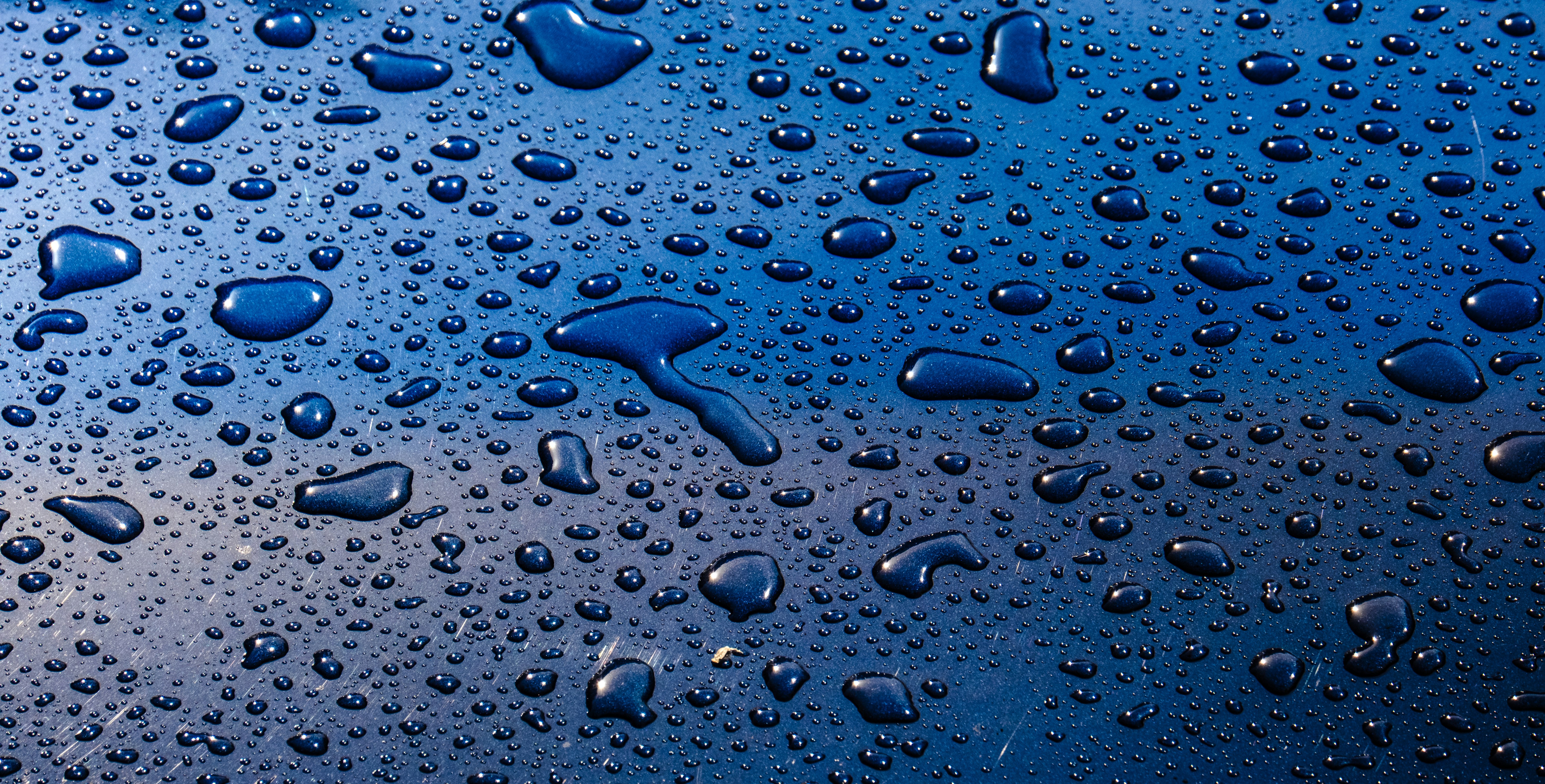 A close up of water droplets on a window photo – Free Waterdrops Image ...