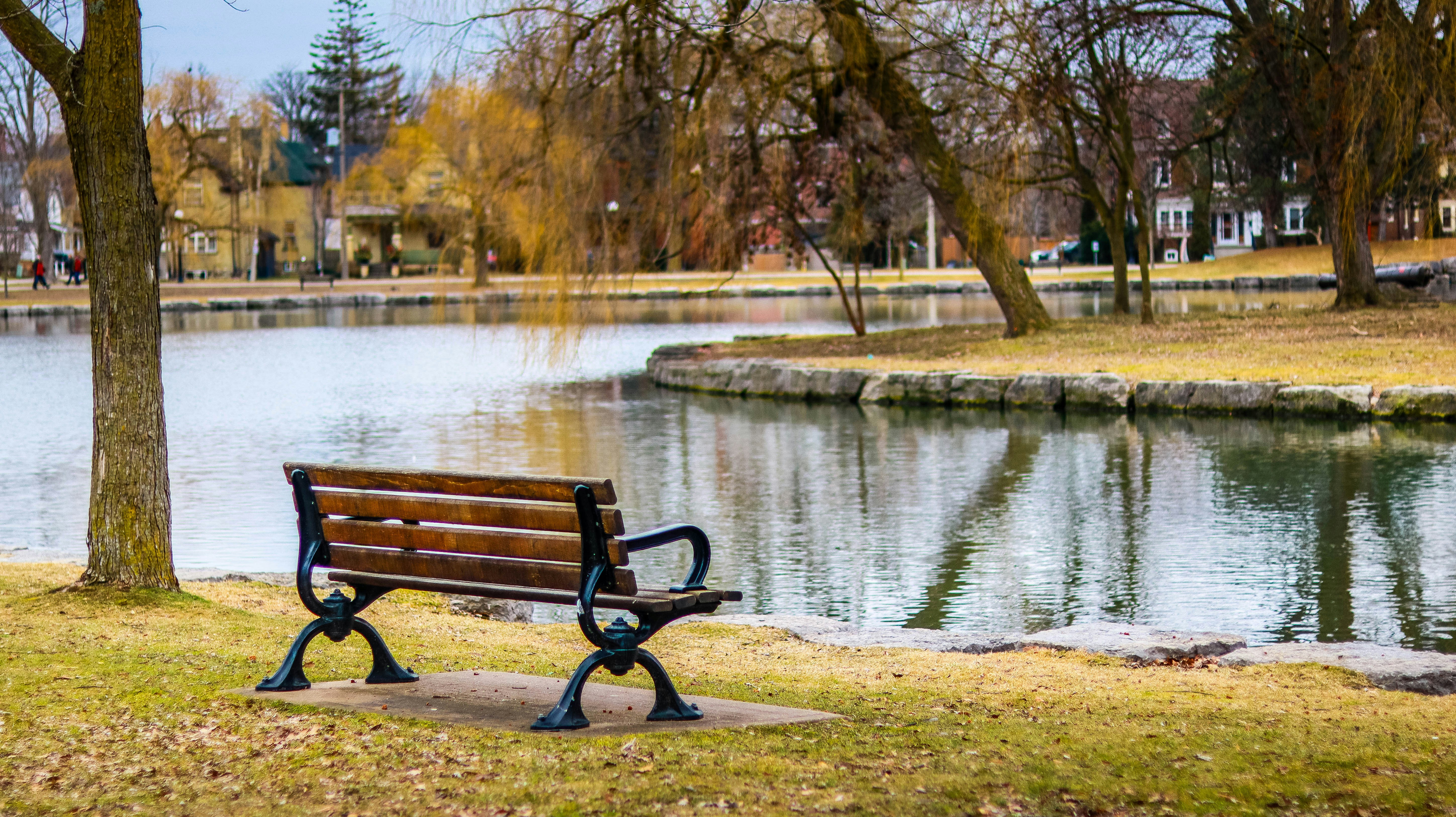 A park bench sitting next to a body of water photo – Free Waterloo ...