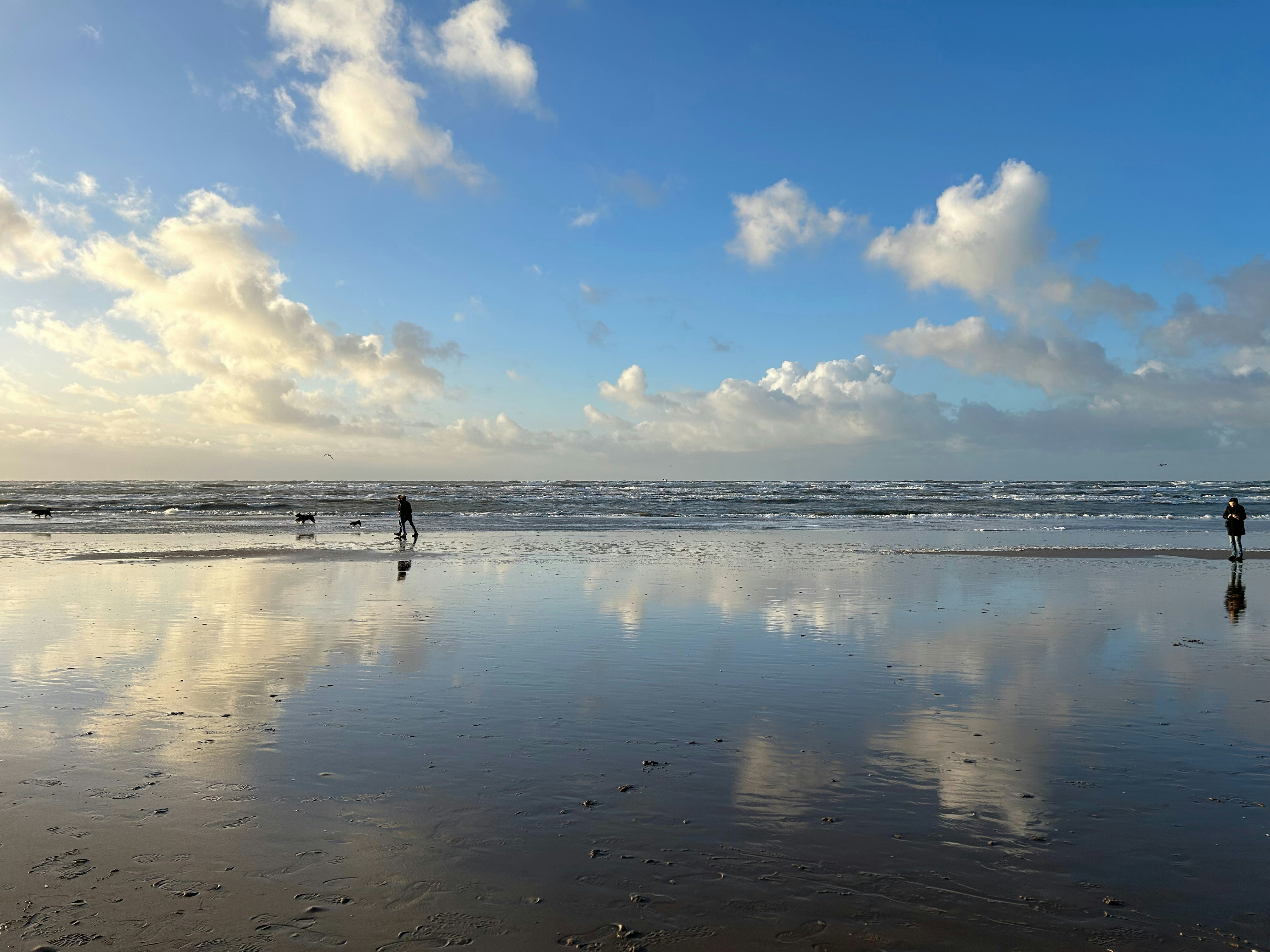 Frank Broscheit (@fbro64) | Unsplash Photo Community