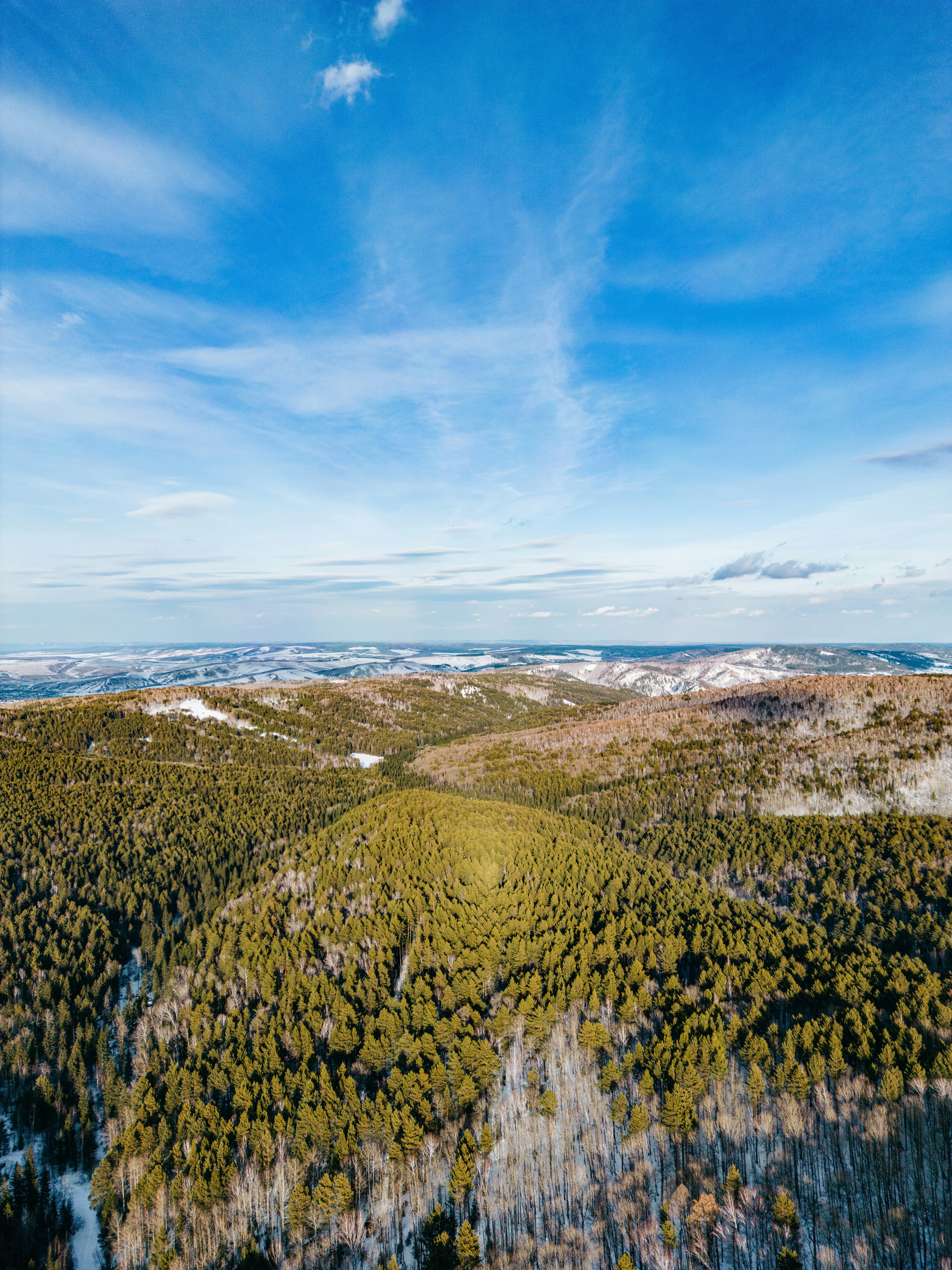 An aerial view of a forest with a blue sky photo – Free Forest Image on ...