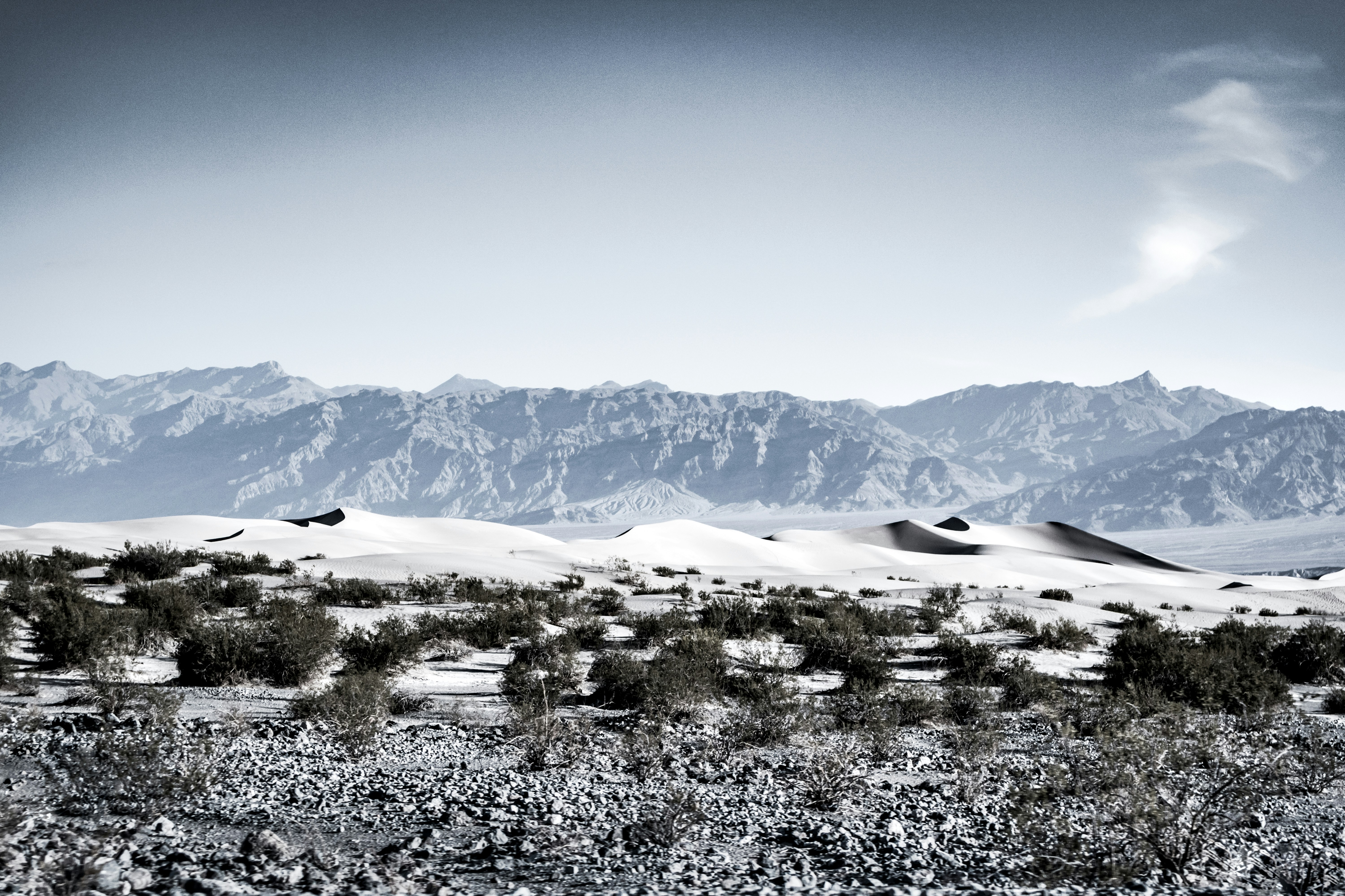 Dunes of Snow and Silence: A Mountain Backdrop