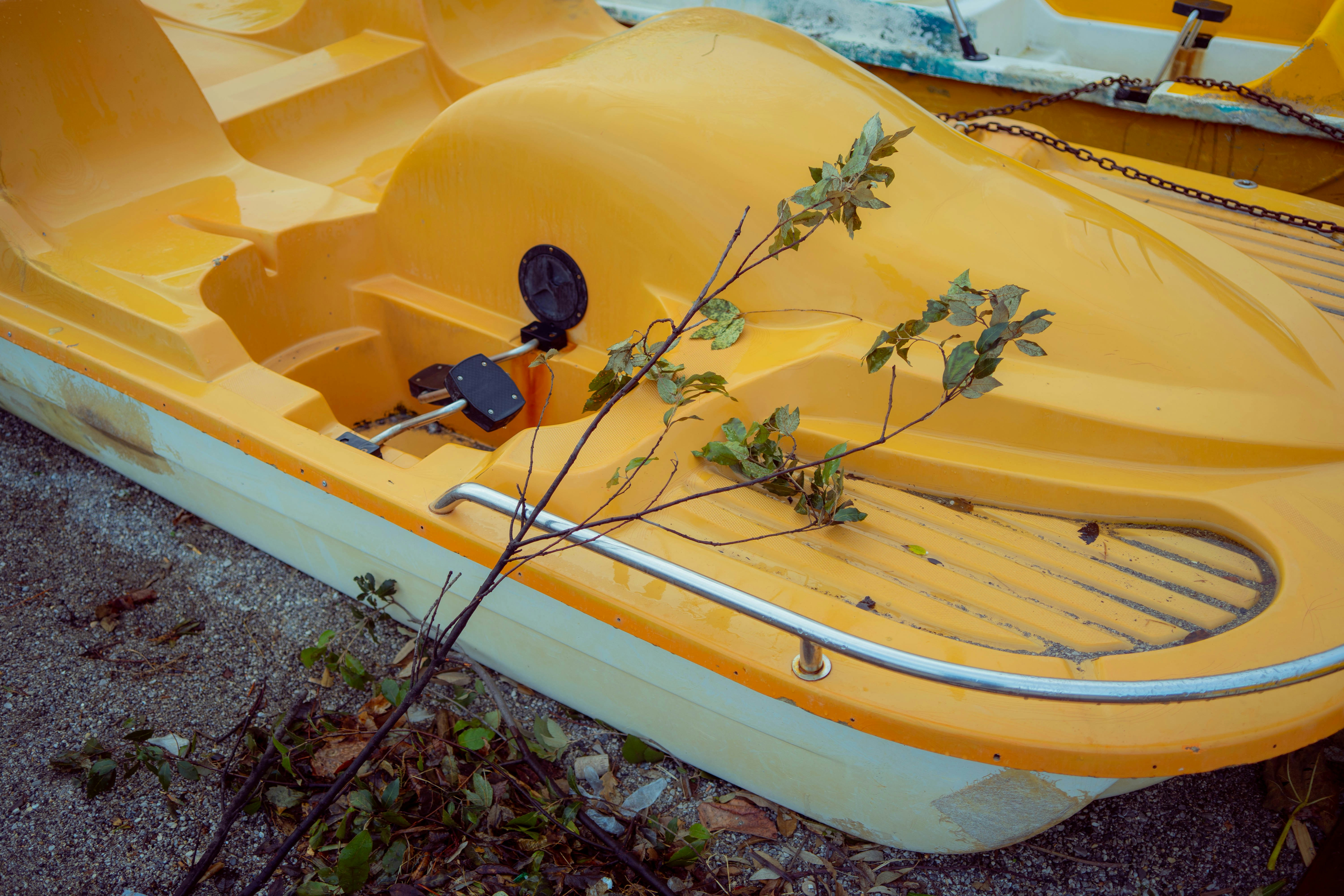 A yellow kayak with a tree growing out of it photo – Free Animal Image ...