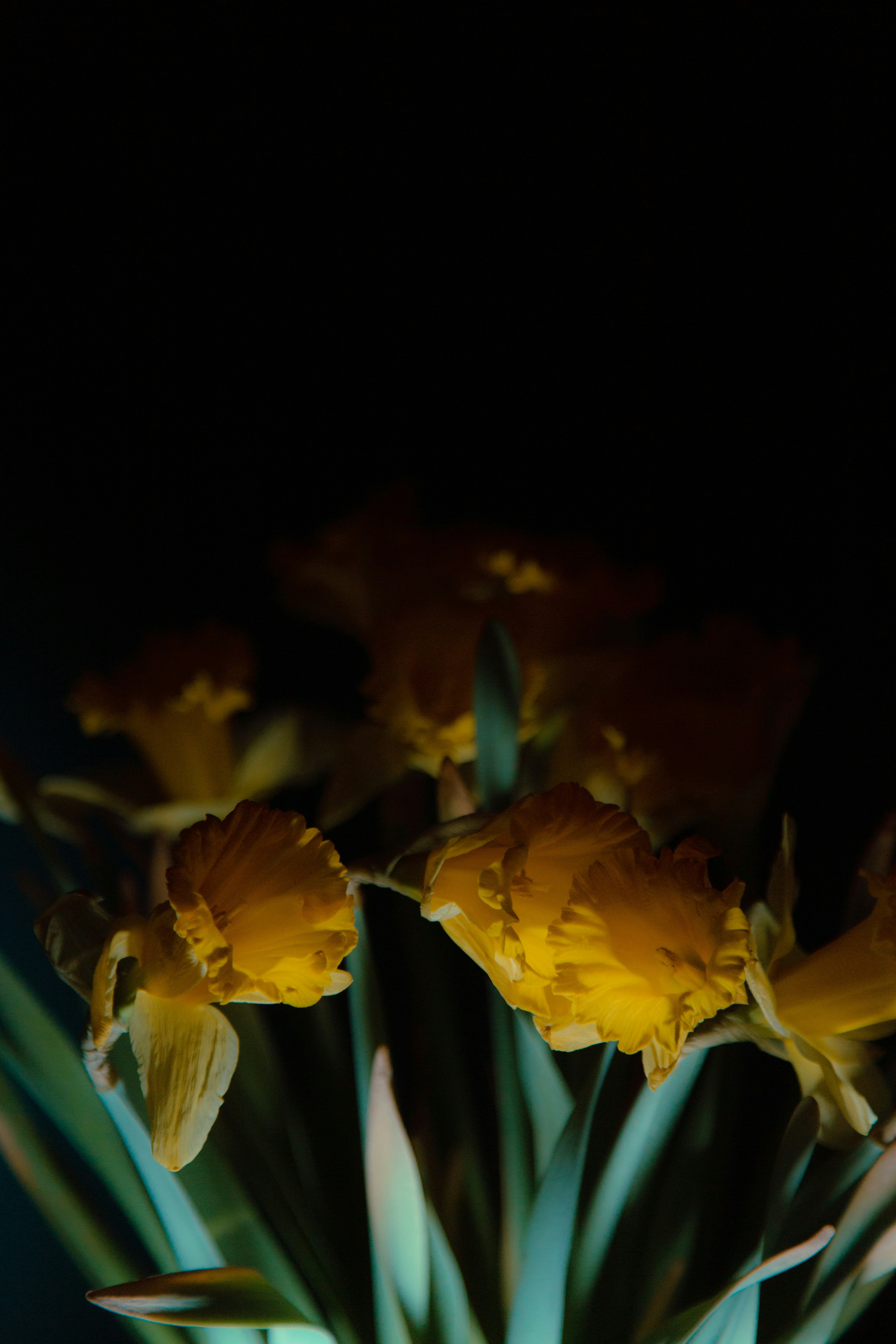 Photo by Klara Kulikova with Canon EOS 6D