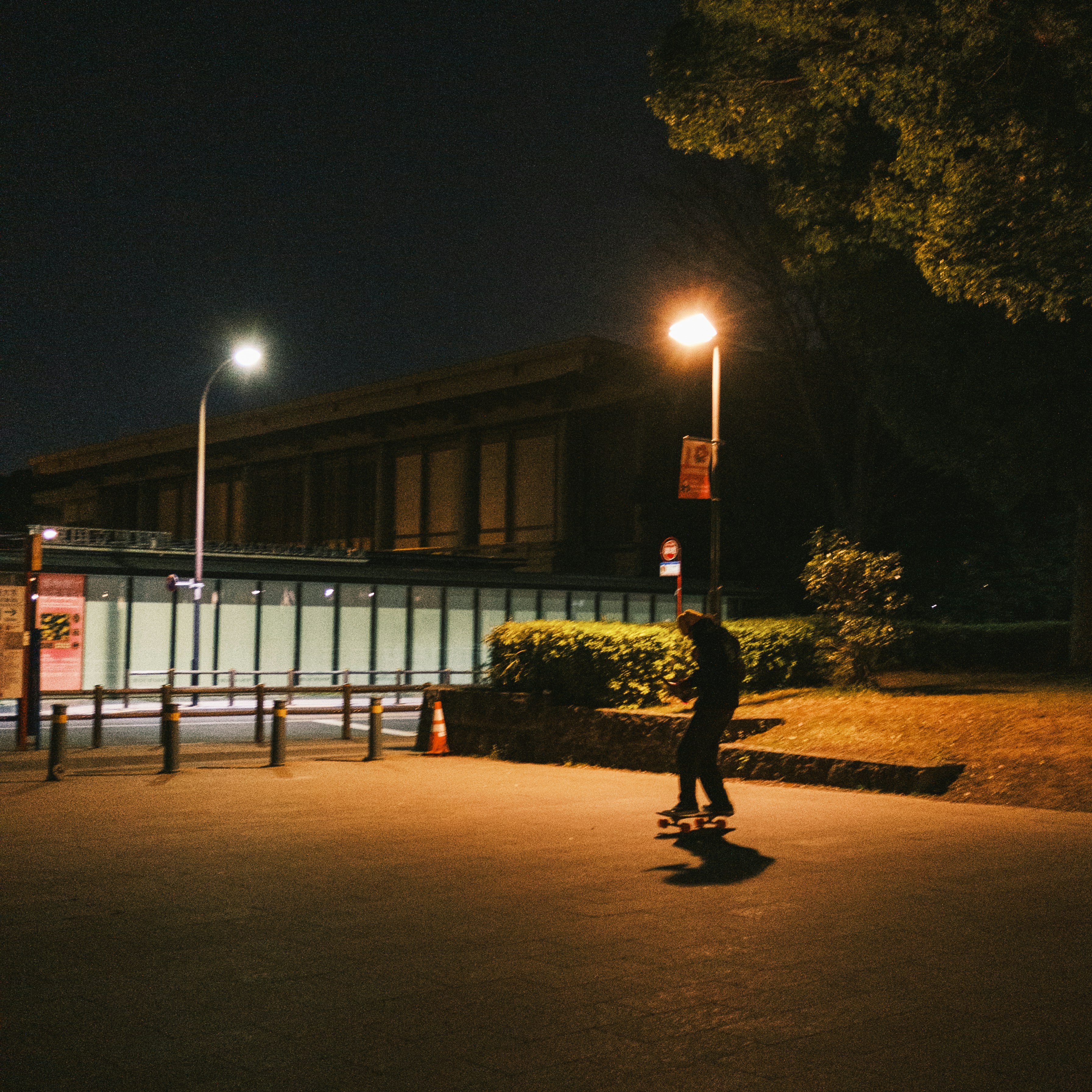 Midnight Glide under a Warm Streetlamp