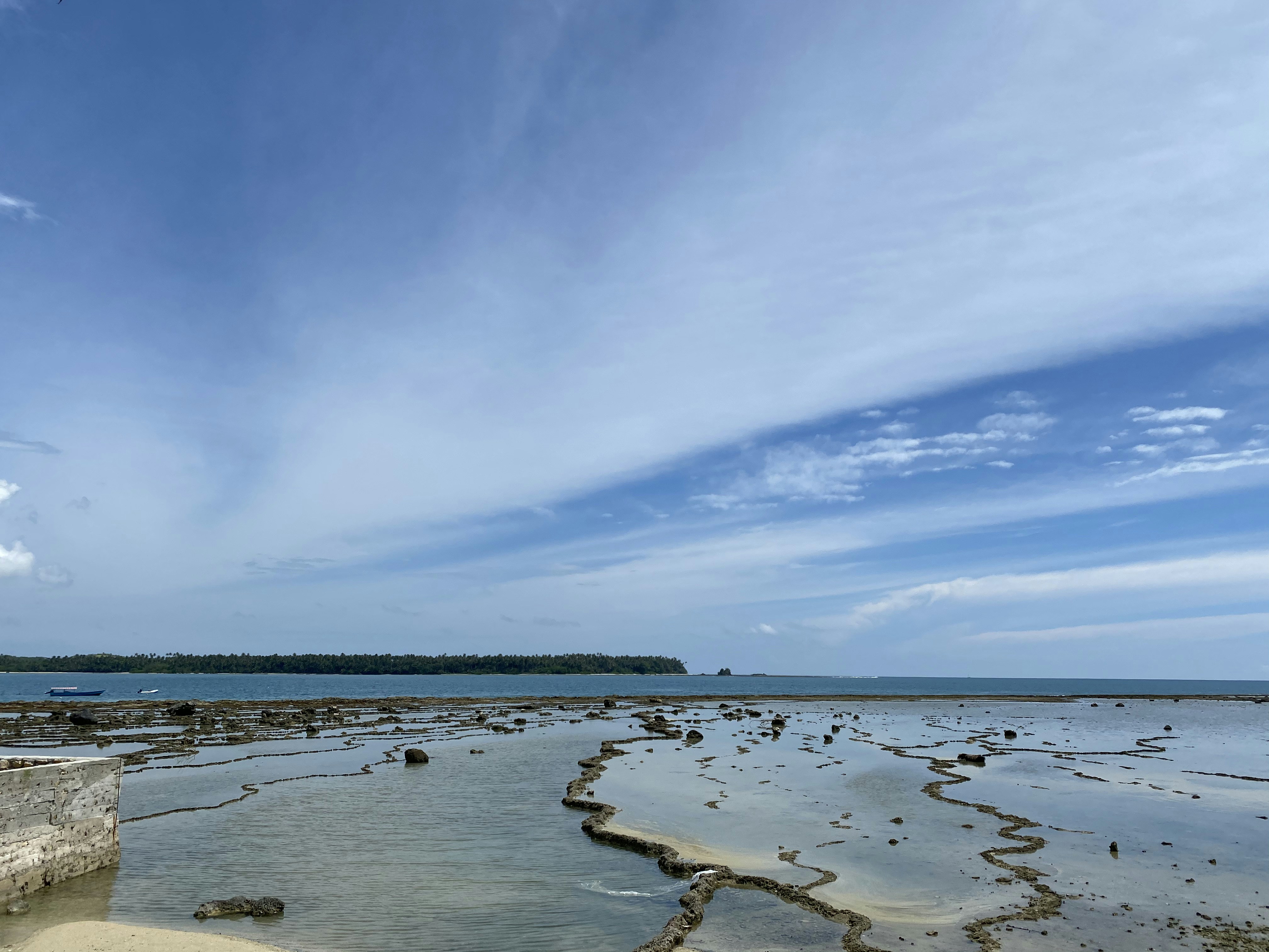 Photo by annsza with Apple iPhone 11 Pro