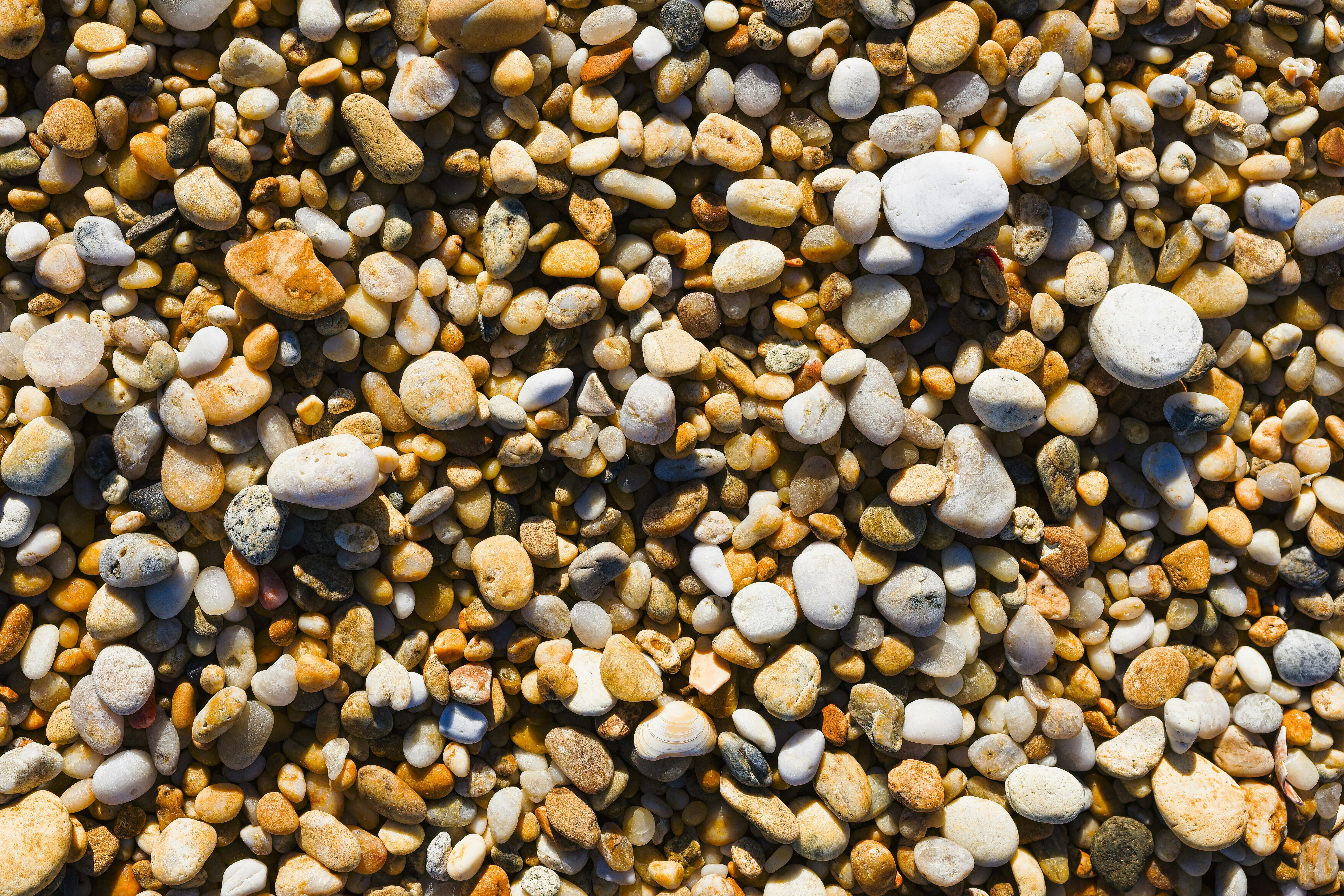 A bunch of rocks that are on the ground photo – Free Étel Image on Unsplash