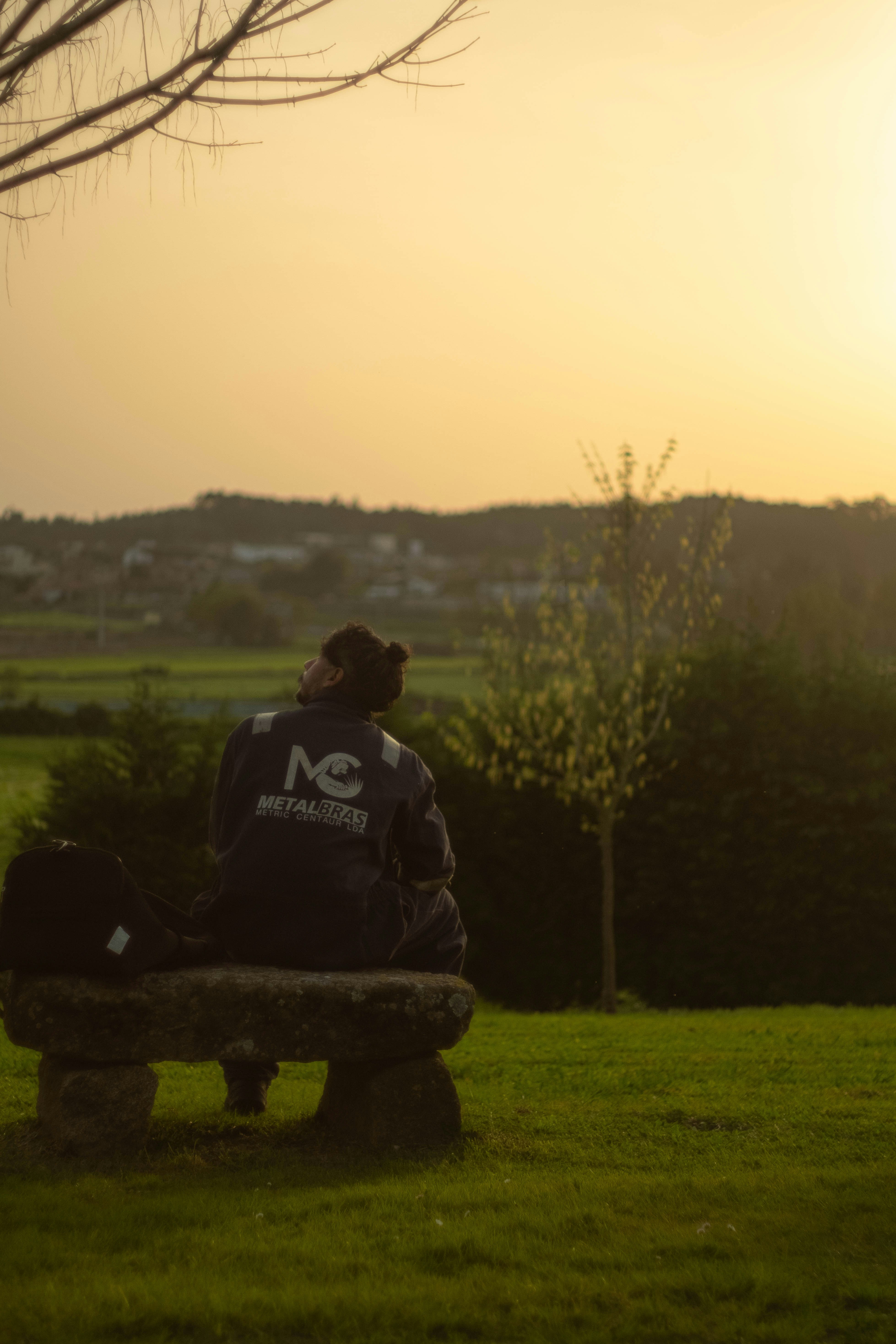 Golden Hour on the Bench: A Quiet Duo in the Dusk